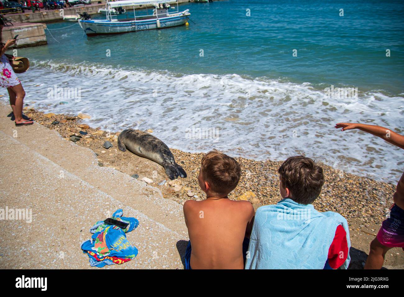 Kids look the friendly seal laying at Patitiri beach in Alonnisos ...