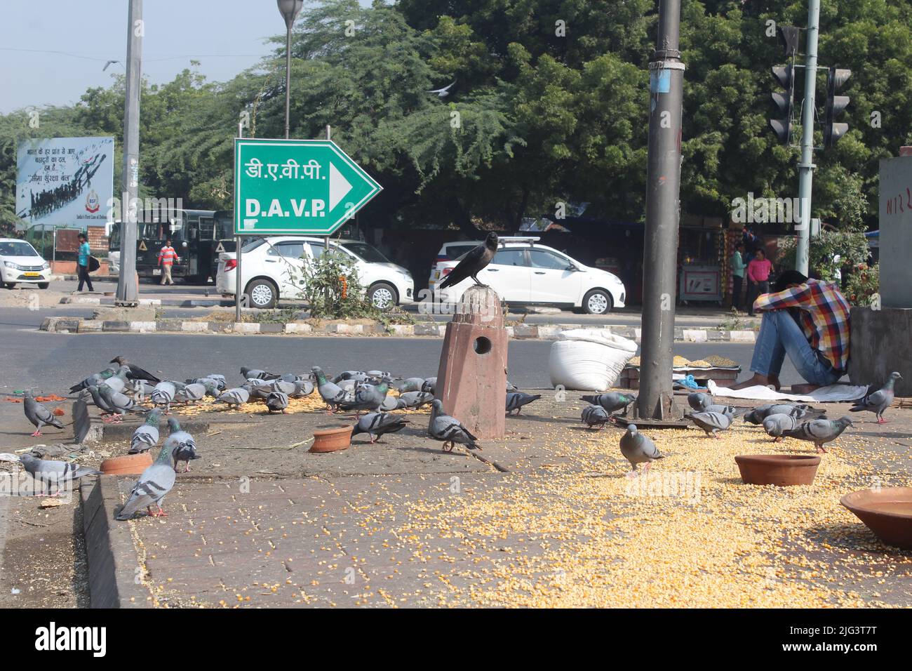 Glimpses of Old Delhi, Chawri Bazaar Stock Photo - Alamy