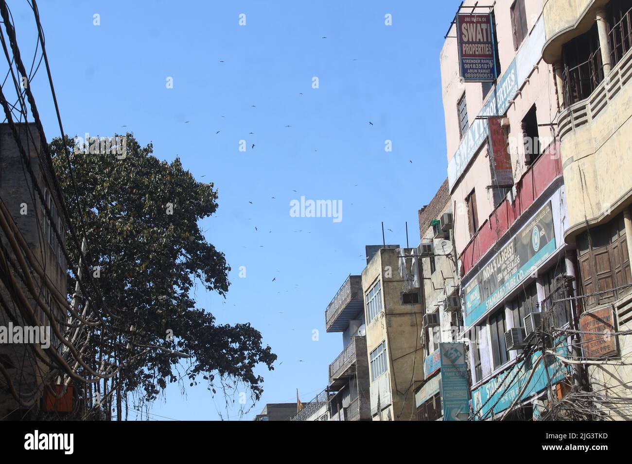 Glimpses of Old Delhi, Chawri Bazaar Stock Photo - Alamy