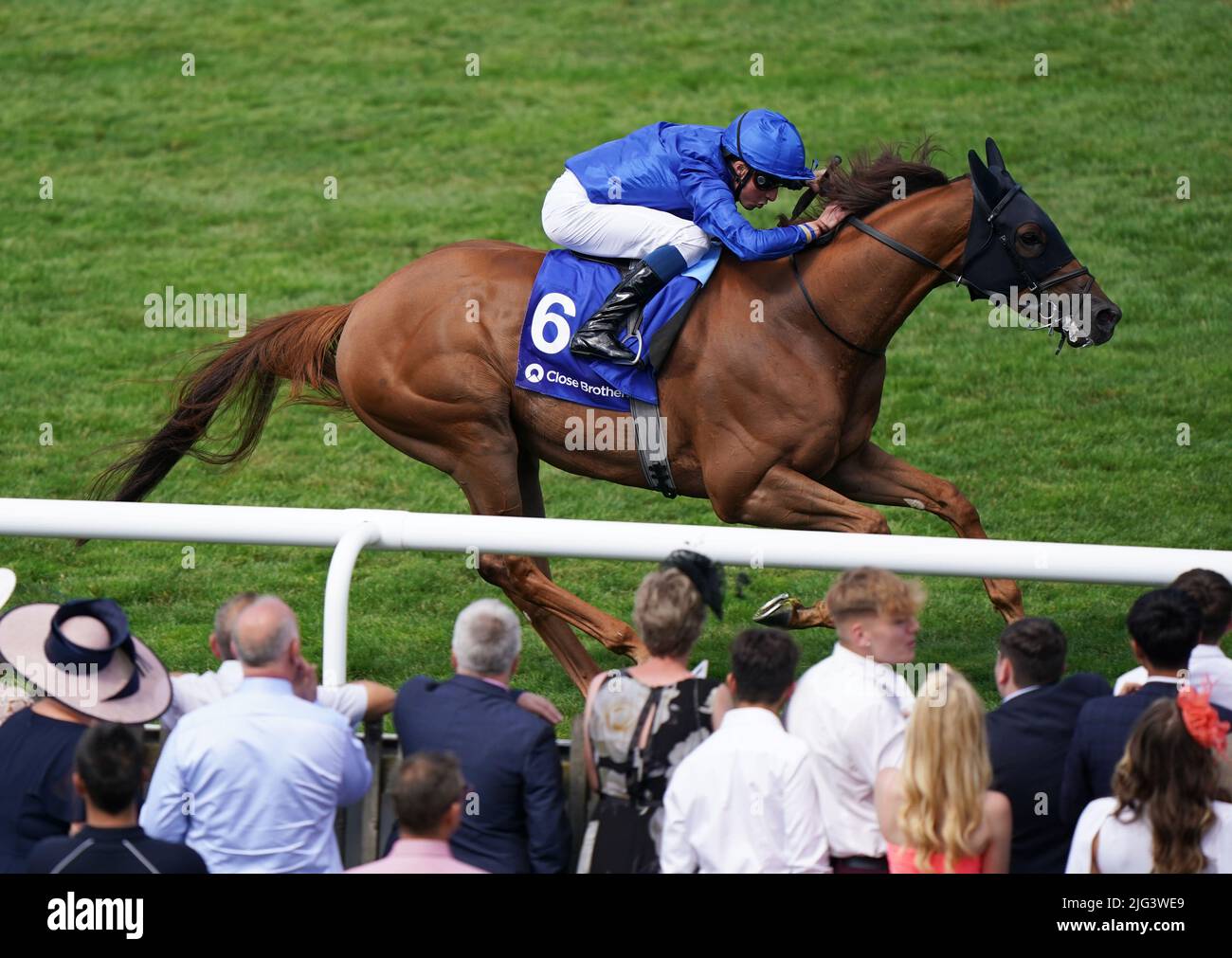 Yibir horse hi-res stock photography and images - Alamy