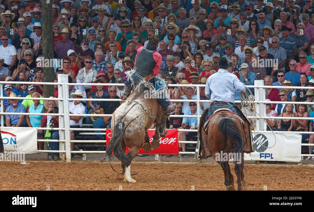 rodeo, man riding bucking horse, attendant on horse, skill, motion ...