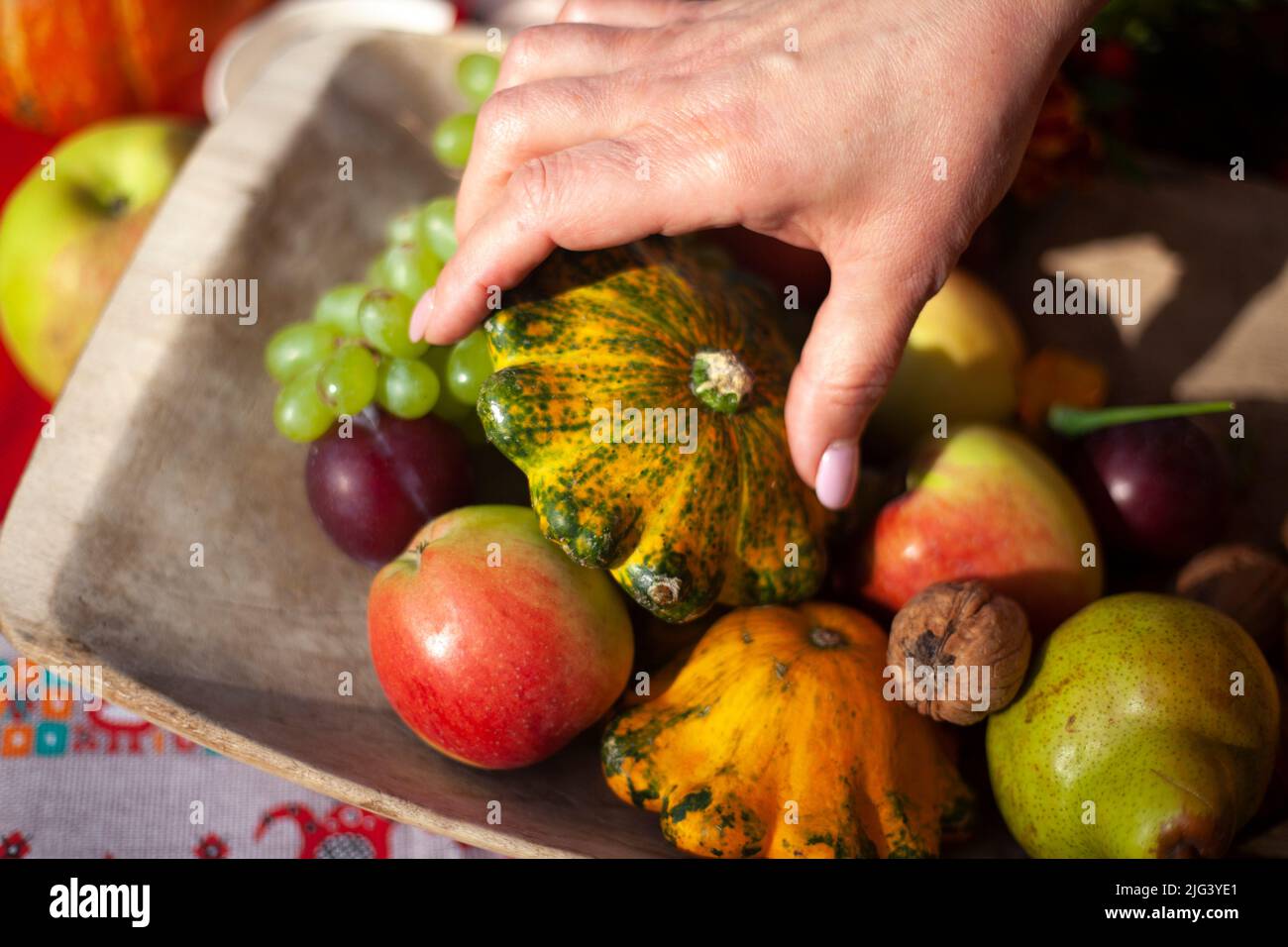 Autumn fruits. Harvest in village. Vegetables and fruits. Hand takes ...