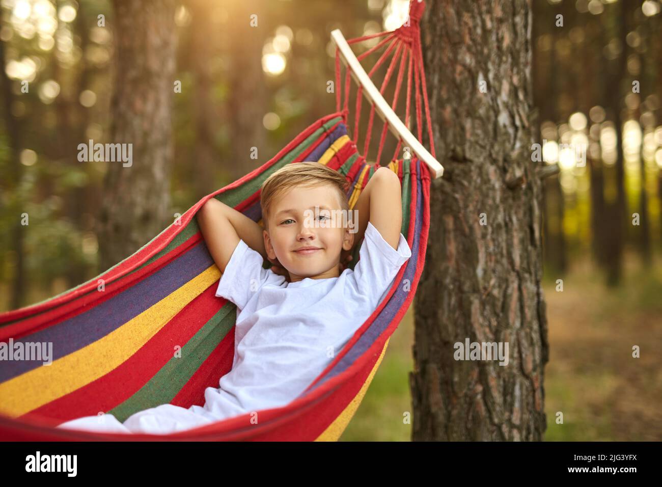 Cute boy is sitting in a hammock Stock Photo - Alamy