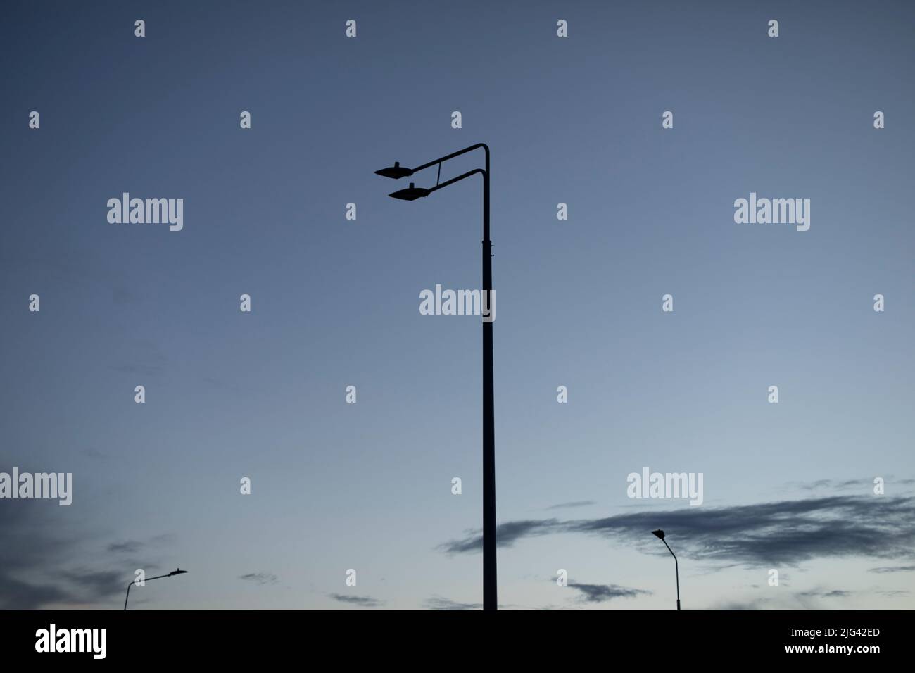 Power insulator bird hi-res stock photography and images - Alamy