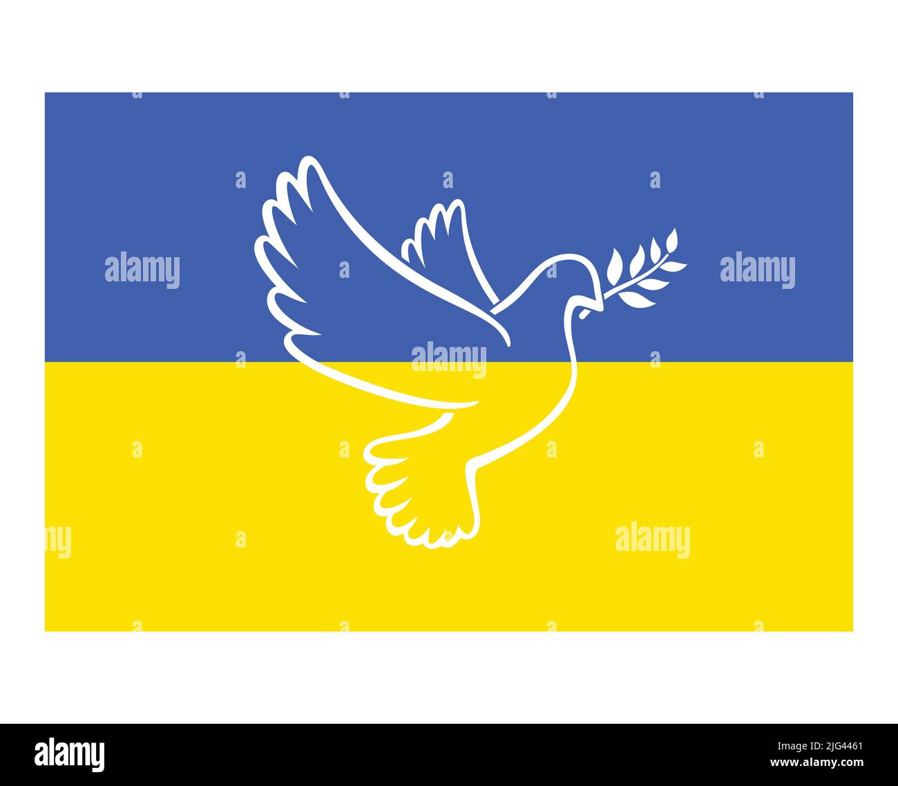 beautiful flying peace dove pigeon bird outline silhouette with ukraine ...