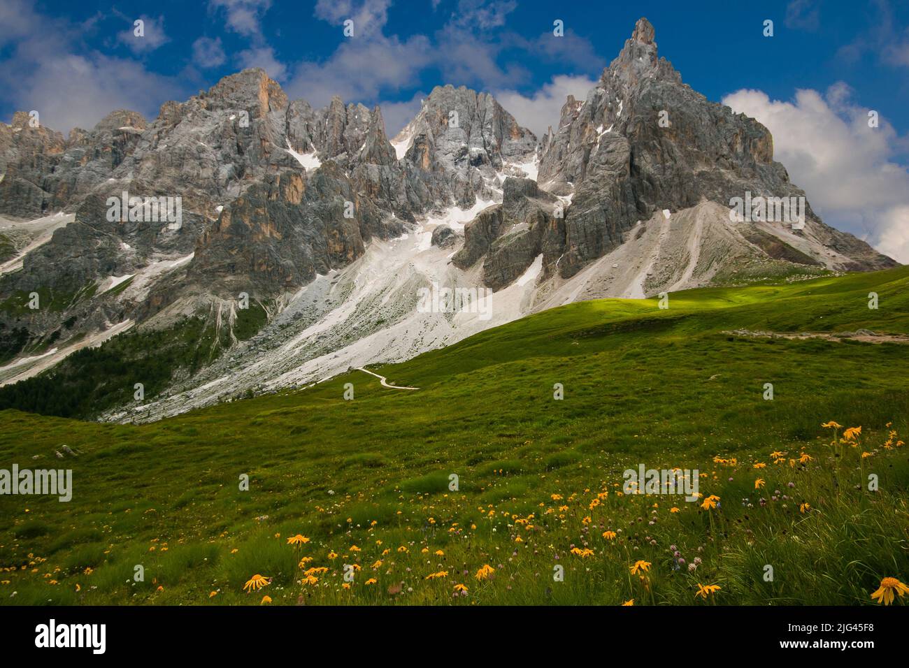 Panoramic view of View of majestic massif of Pale di San Martino, Passo ...