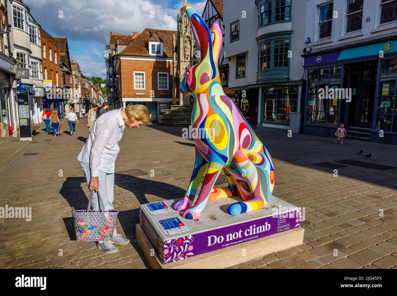 'Wavy Hare!,' a sculpture by Amy Bourbon in the Hares of Hampshire ...