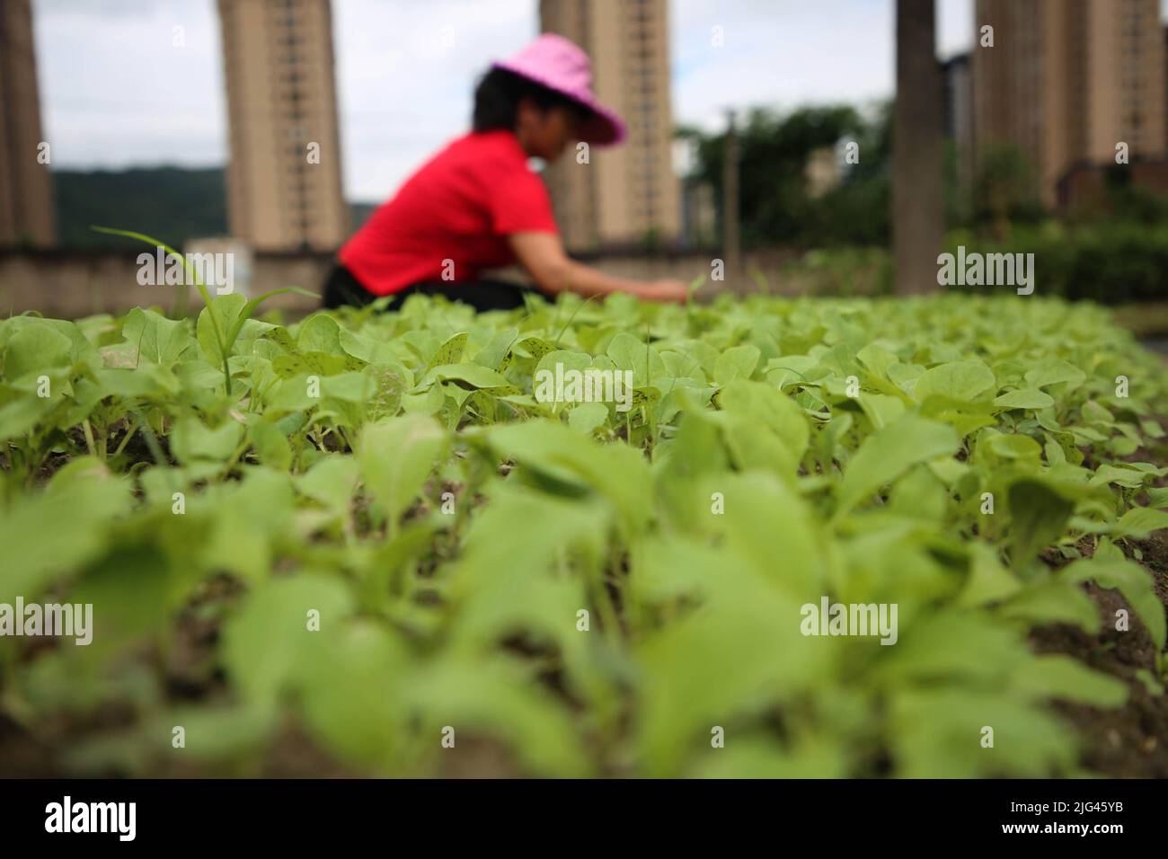 Dongxiao hi-res stock photography and images - Alamy