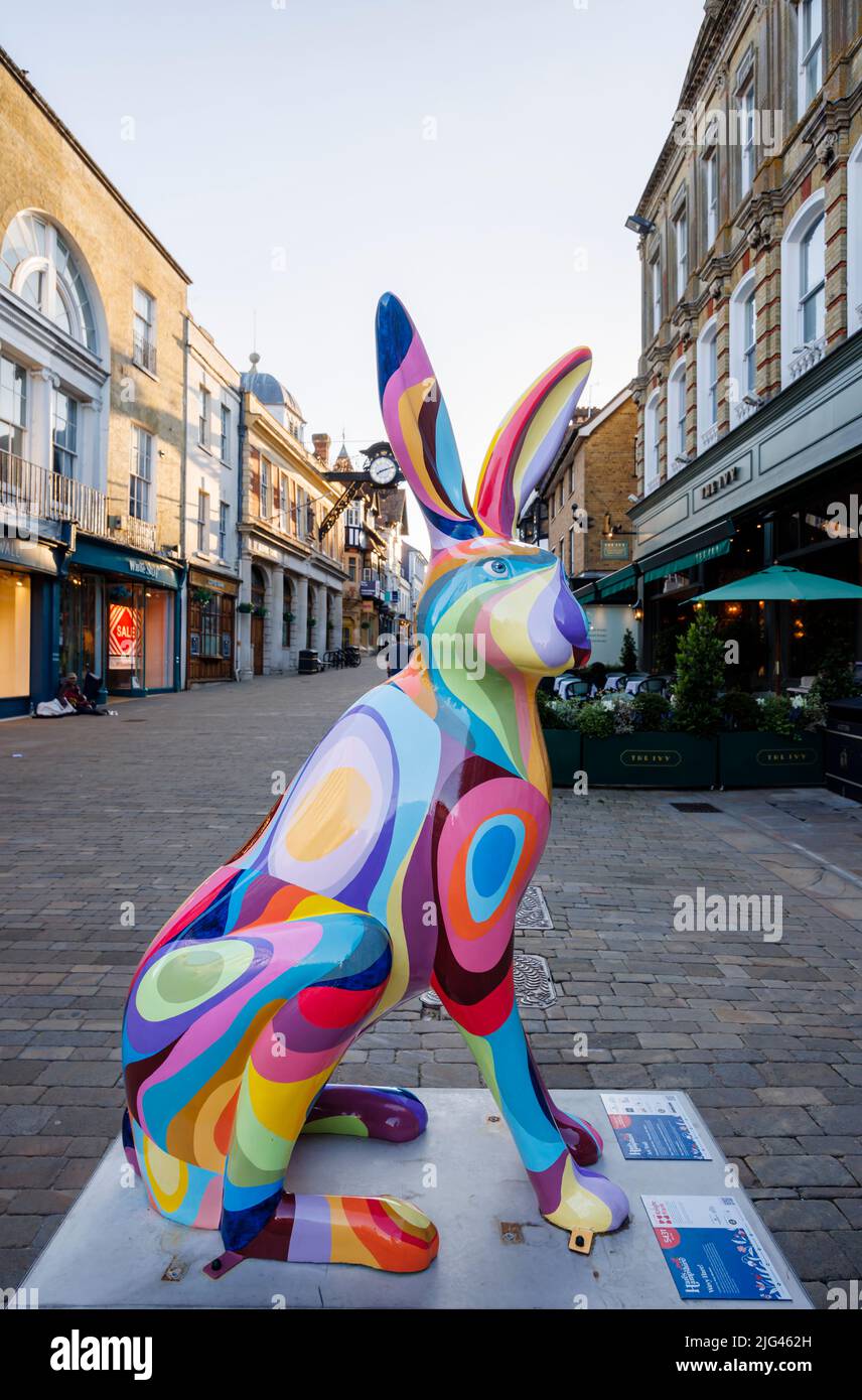 'Wavy Hare!,' a colourful sculpture by Amy Bourbon in the Hares of ...