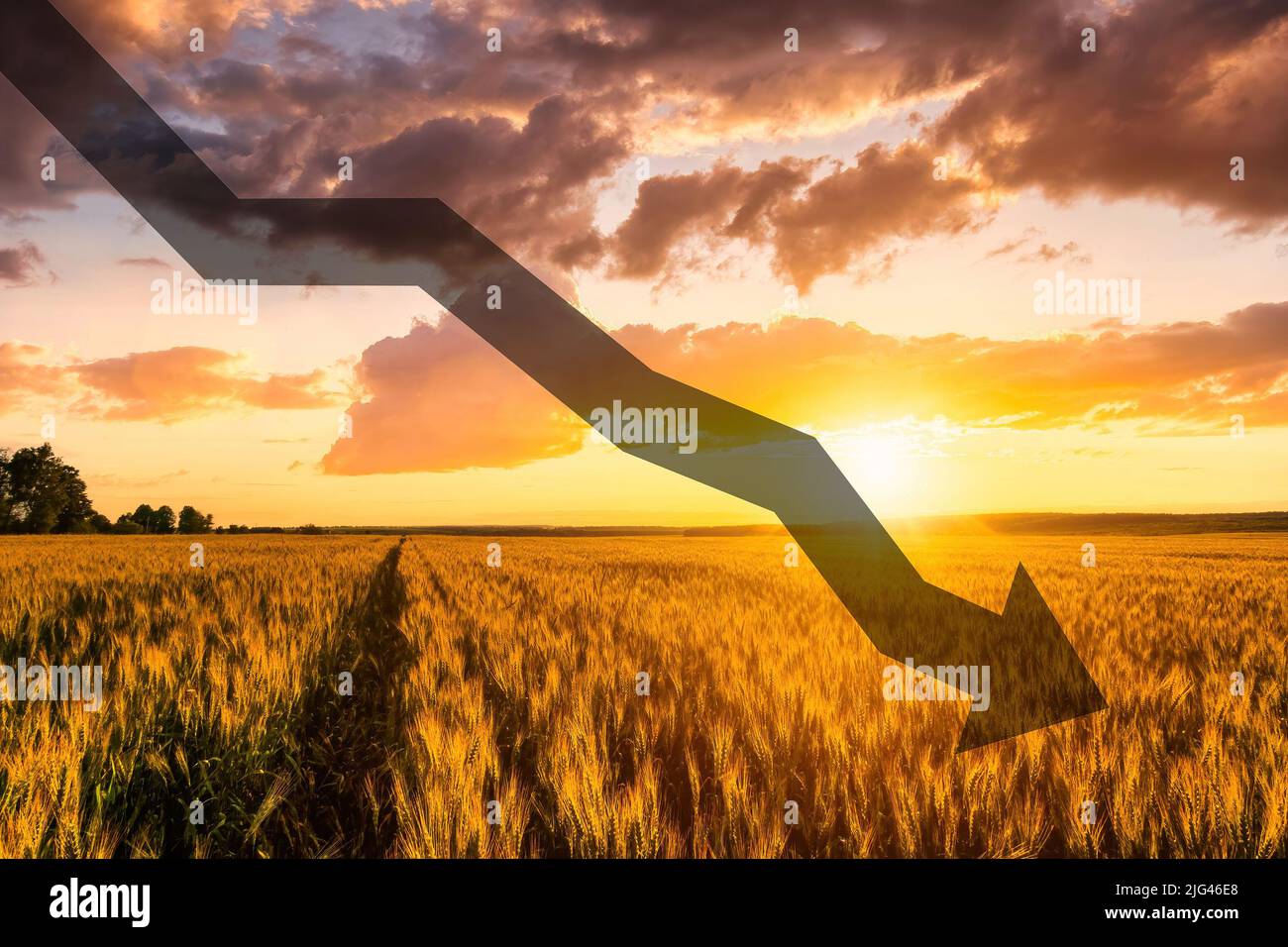 Concept of a problems with the supply of wheat and flour. World food ...