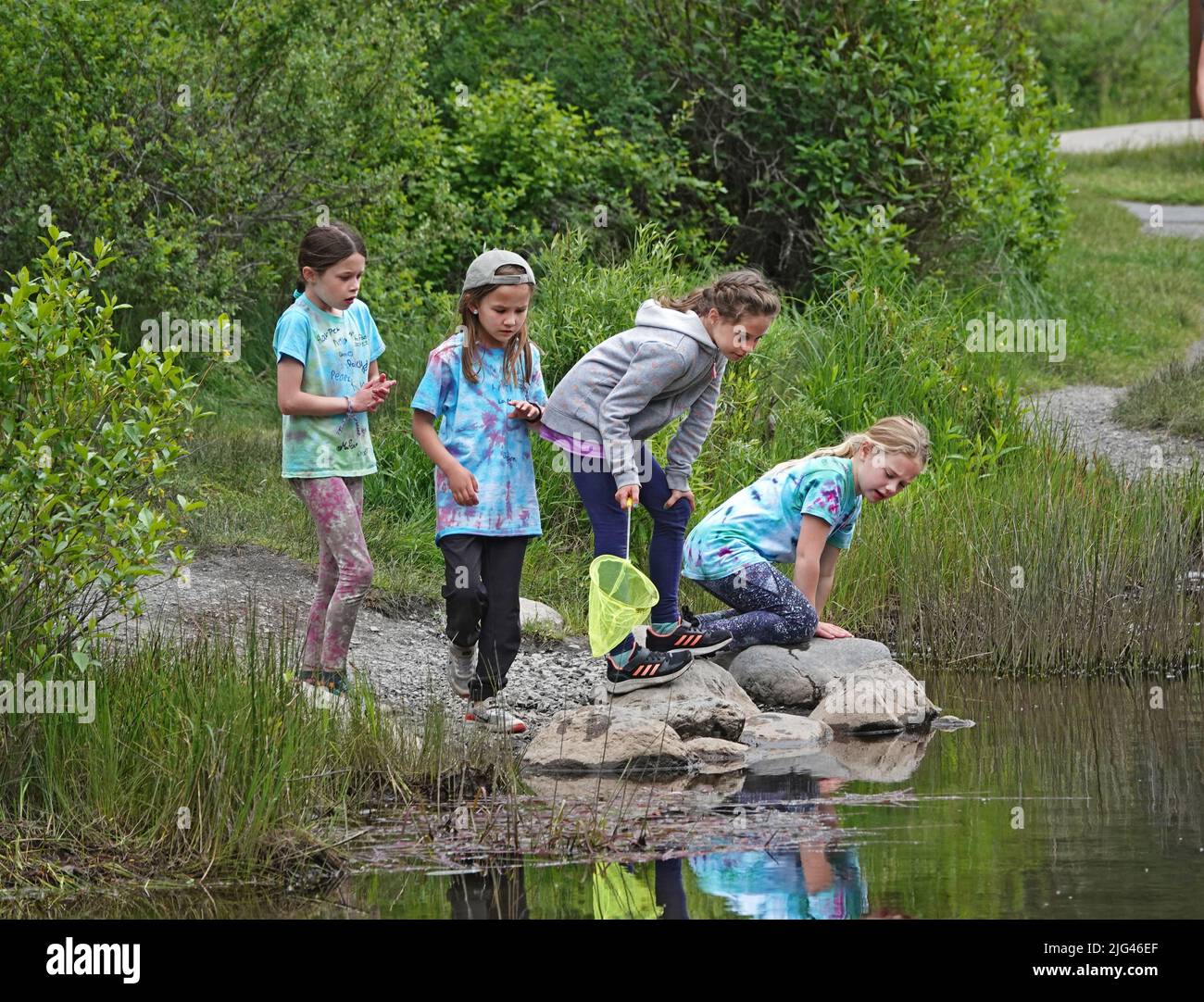 A group of children playing on the edge of a small pond in a city park ...