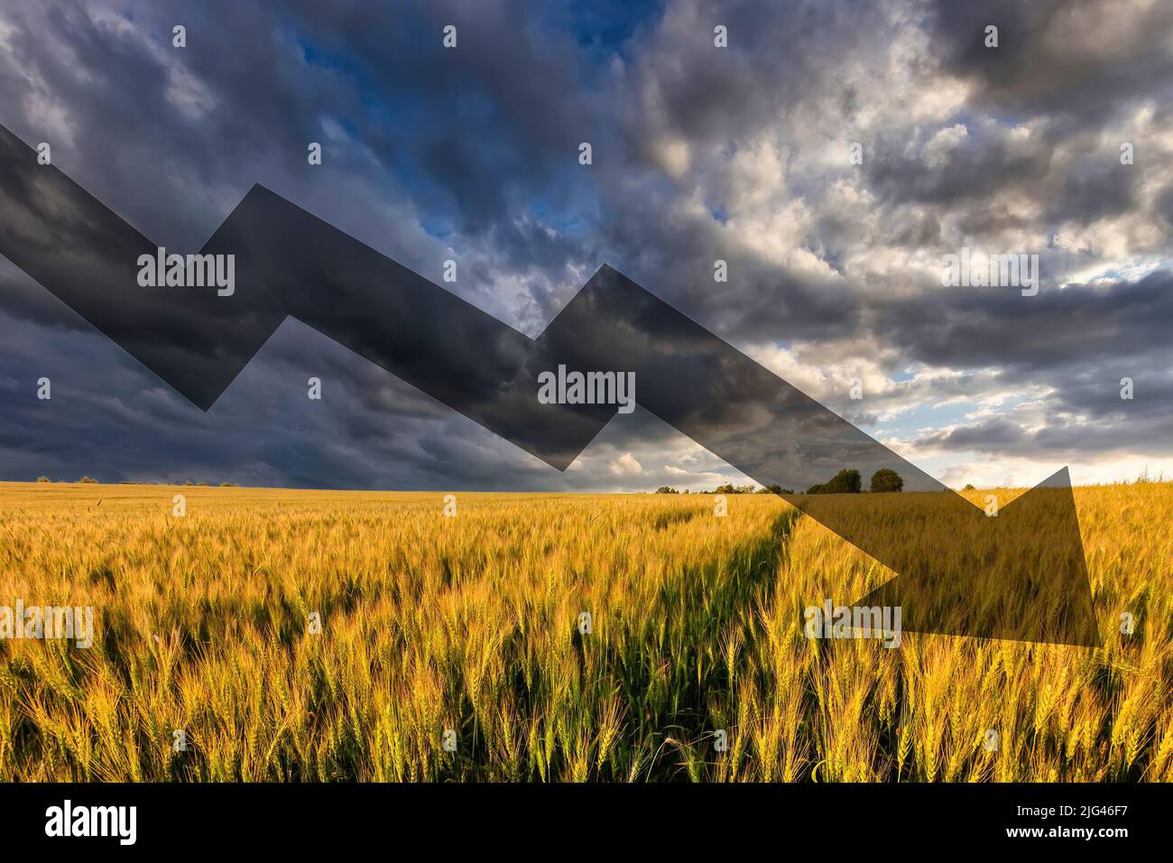Concept of a problems with the supply of wheat and flour. World food ...