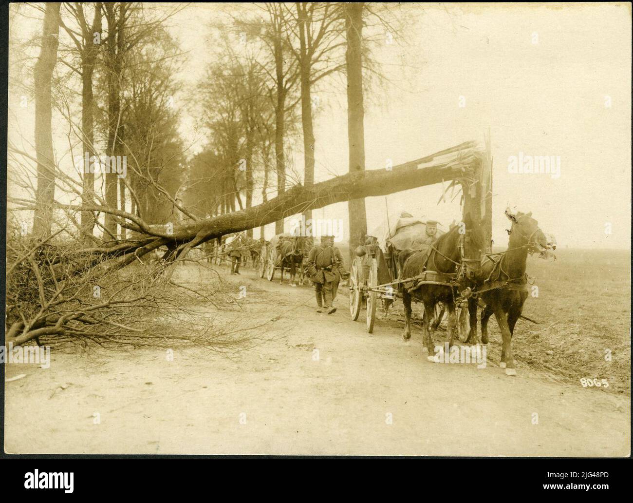 The big battle in the west. German columns on one of the advance roads ...