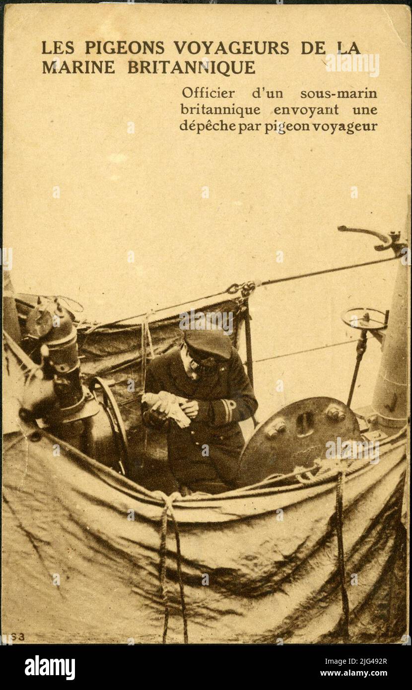 British navy traveler pigeons. Officer of a British submarine sending a ...