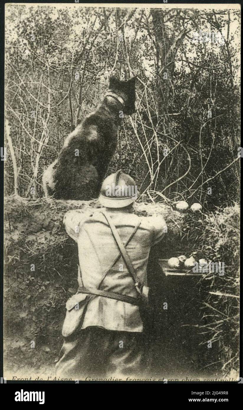 Aisne front. Flaçais grenadier and his sentry dog. Reasoned ...