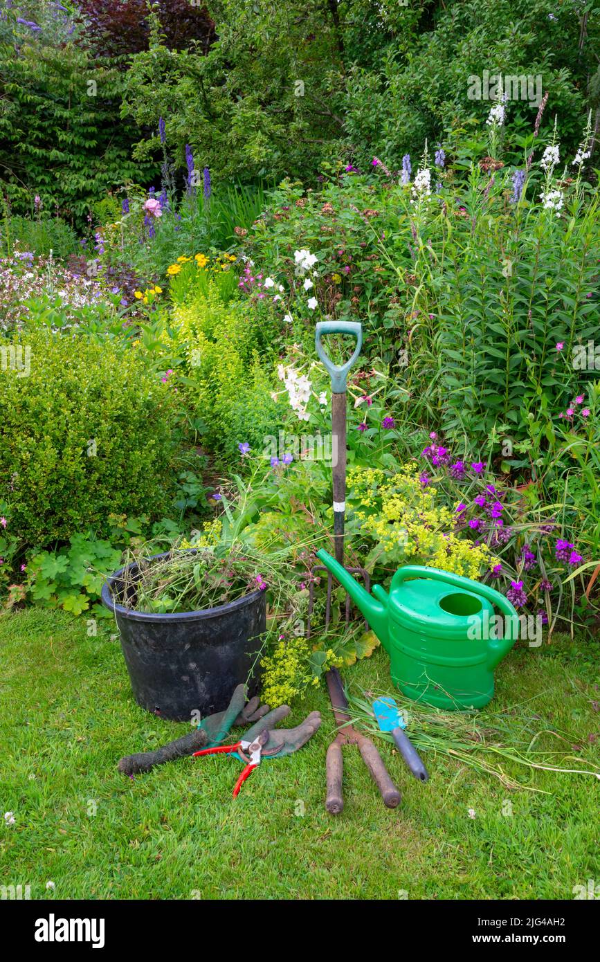 English garden weeds hi-res stock photography and images - Alamy