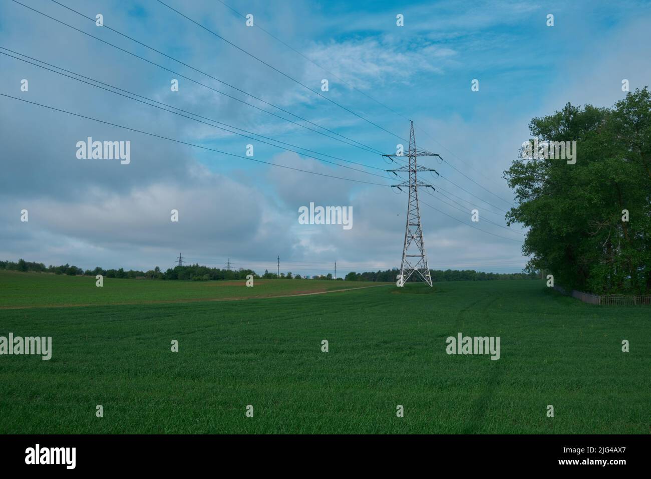 High voltage electric pylon and electrical wire at green rice field and ...