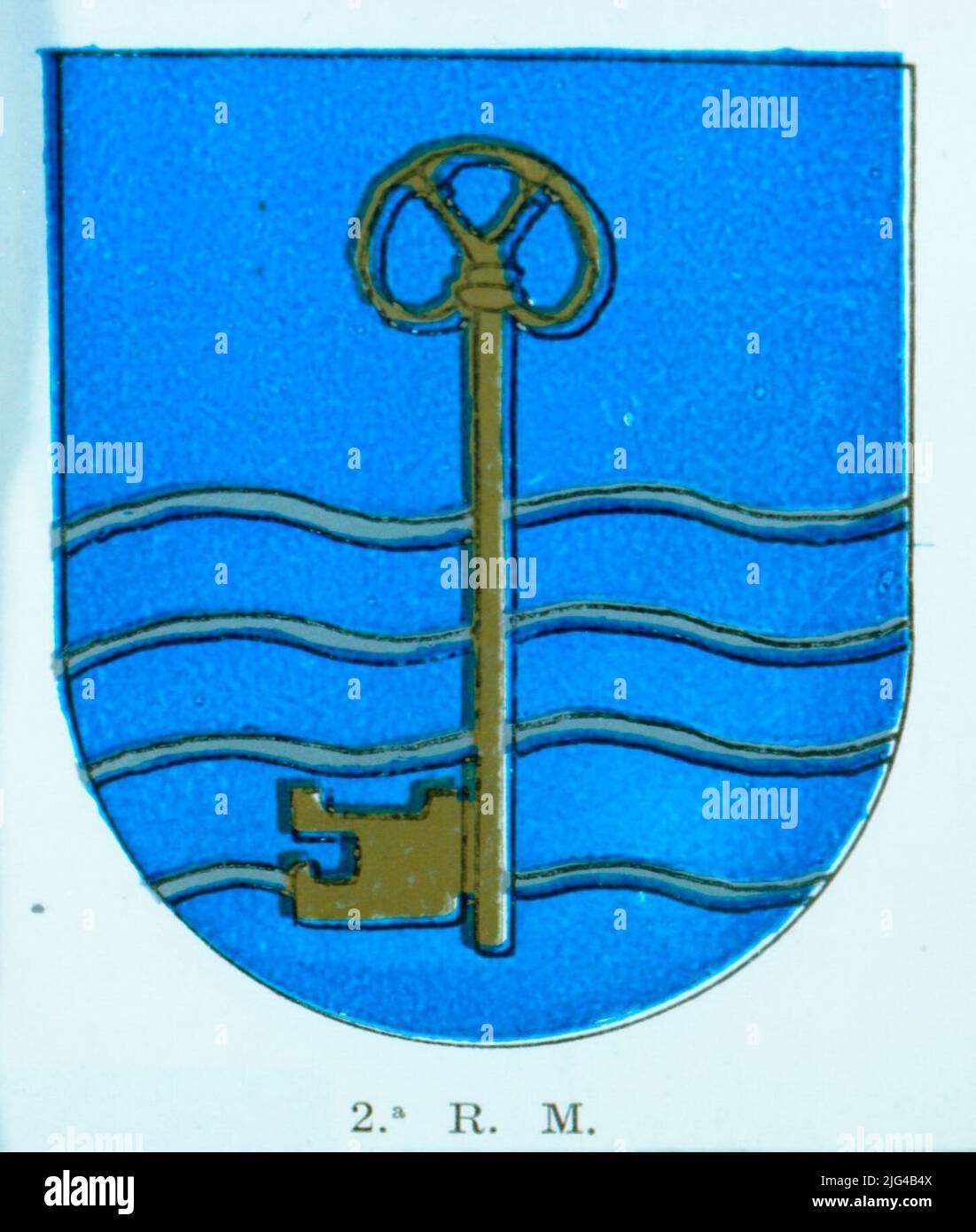 Scuson of the arm badge of the forces not framed in large units of the ...