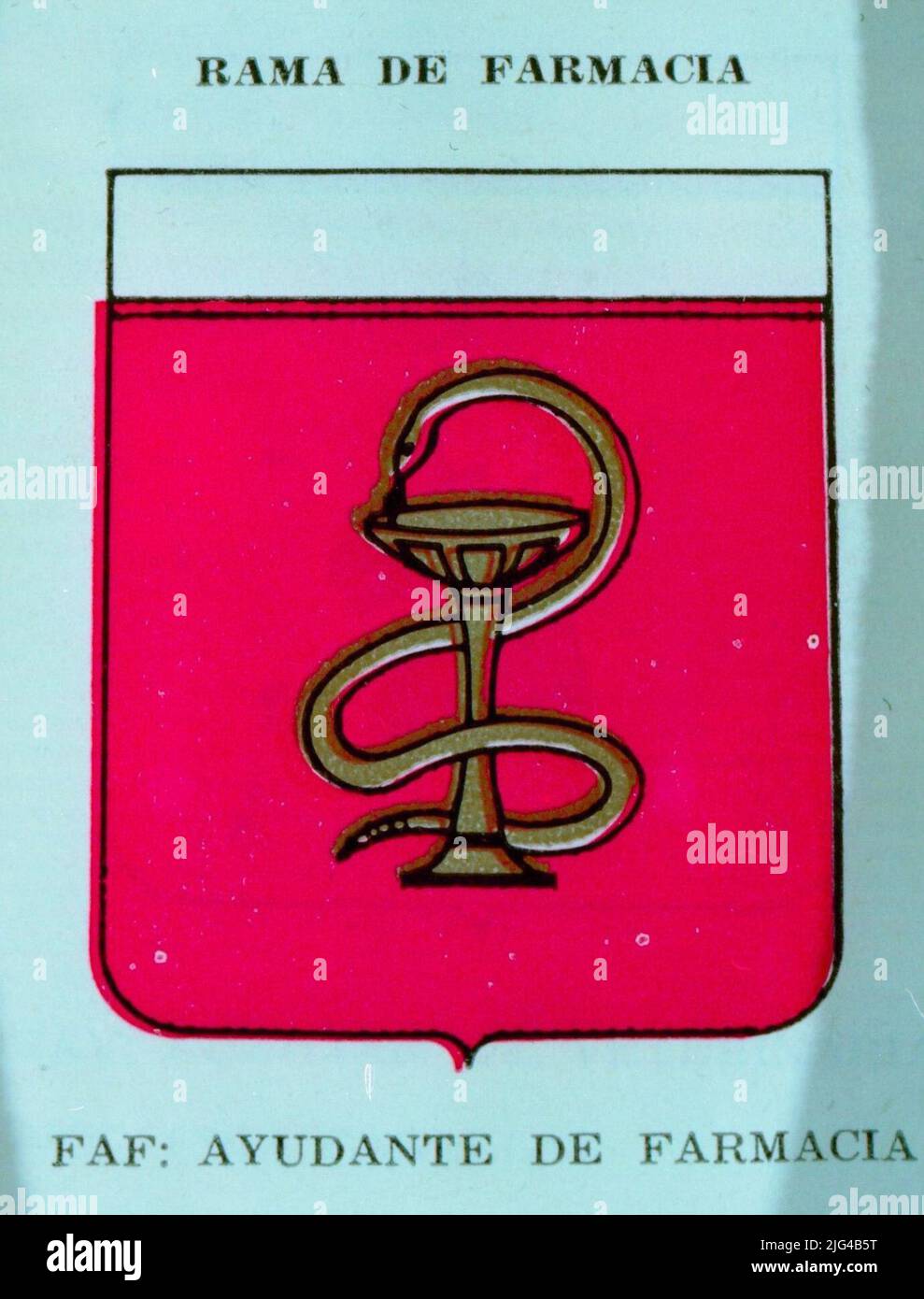 Distinctive specialty of the Pharmacy Branch: FAF, Pharmacy Assistant ...