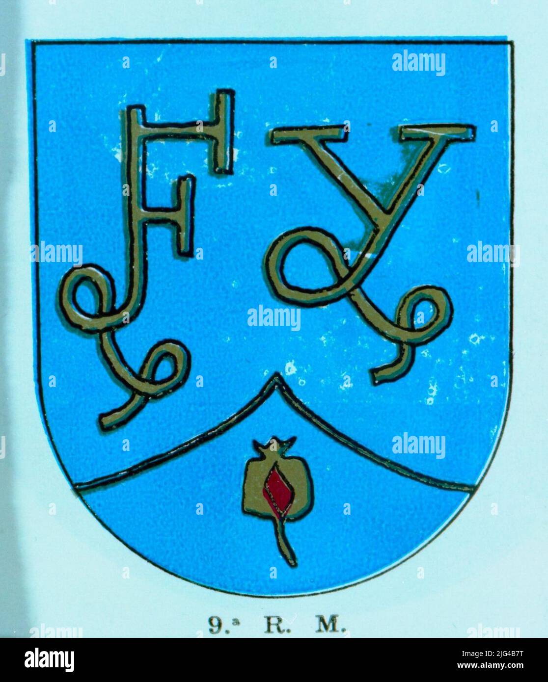 SCUSON OF THE ARM DISTALT OF THE FORCES UNDERSTANDED IN GREAT UNITS OF ...