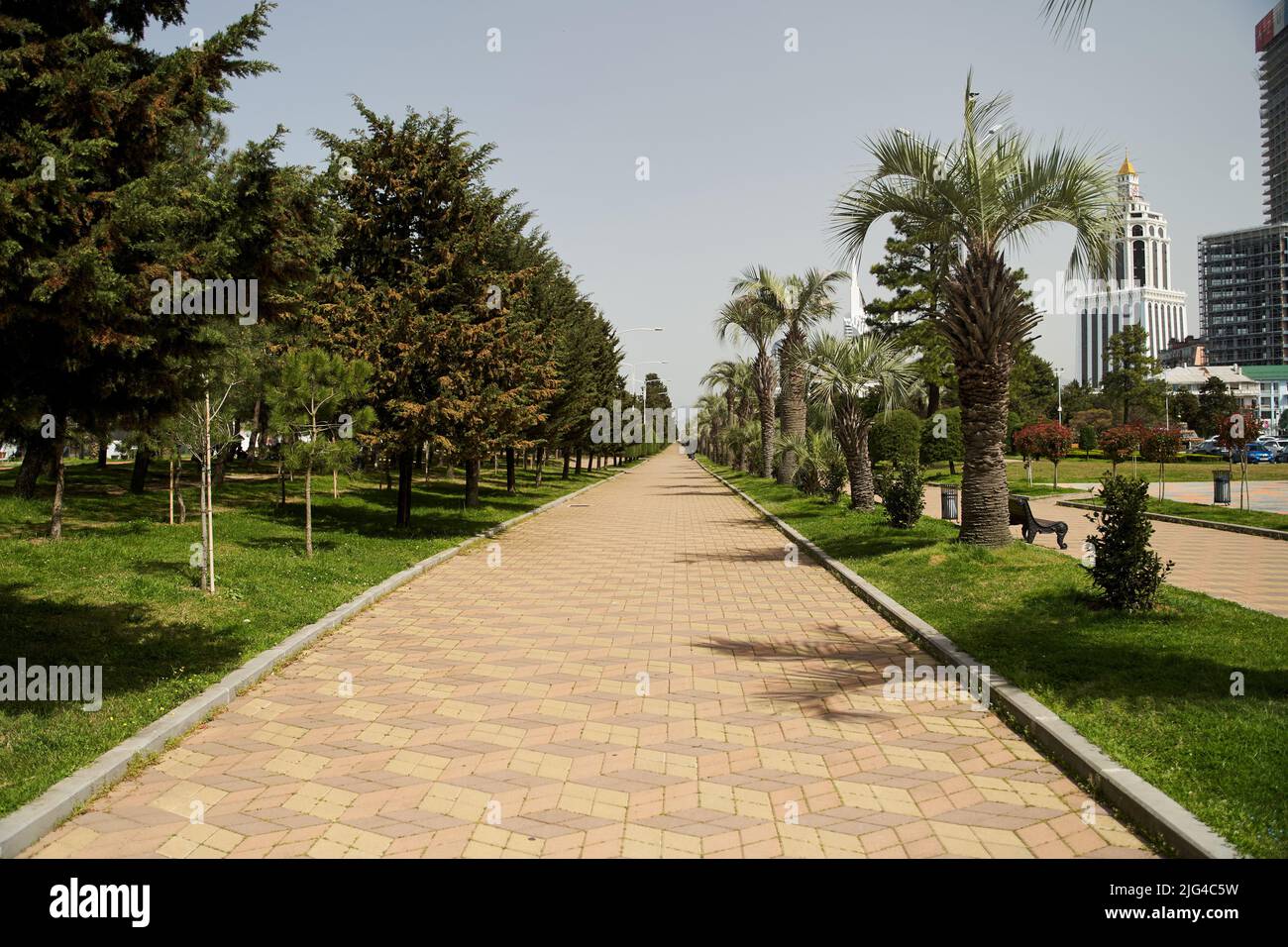 Batumi New Boulevard on a Sunny day. Palm trees along the road. Batumi ...