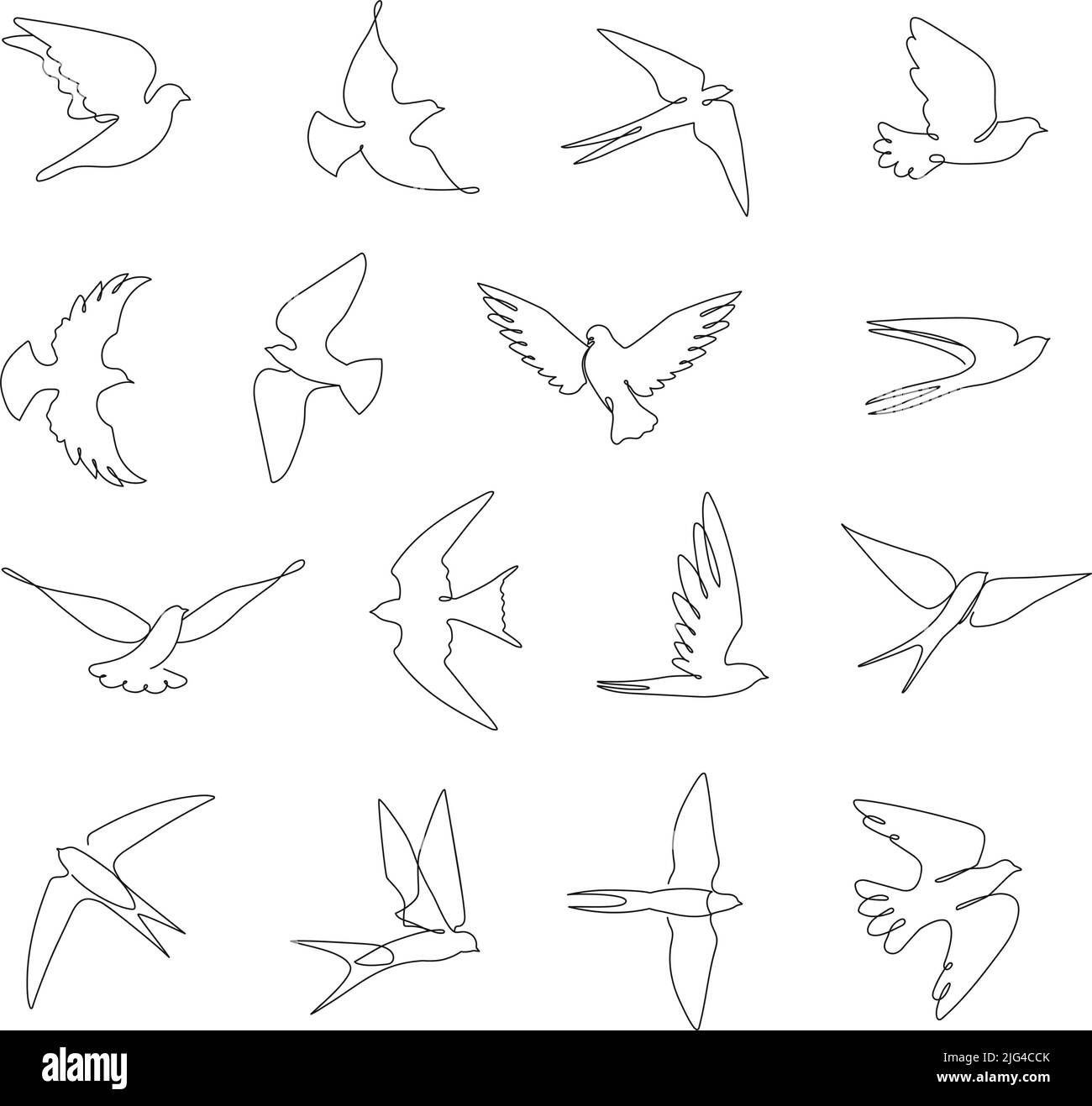Continuous line birds. Flying swallow, doves and abstract bird with ...