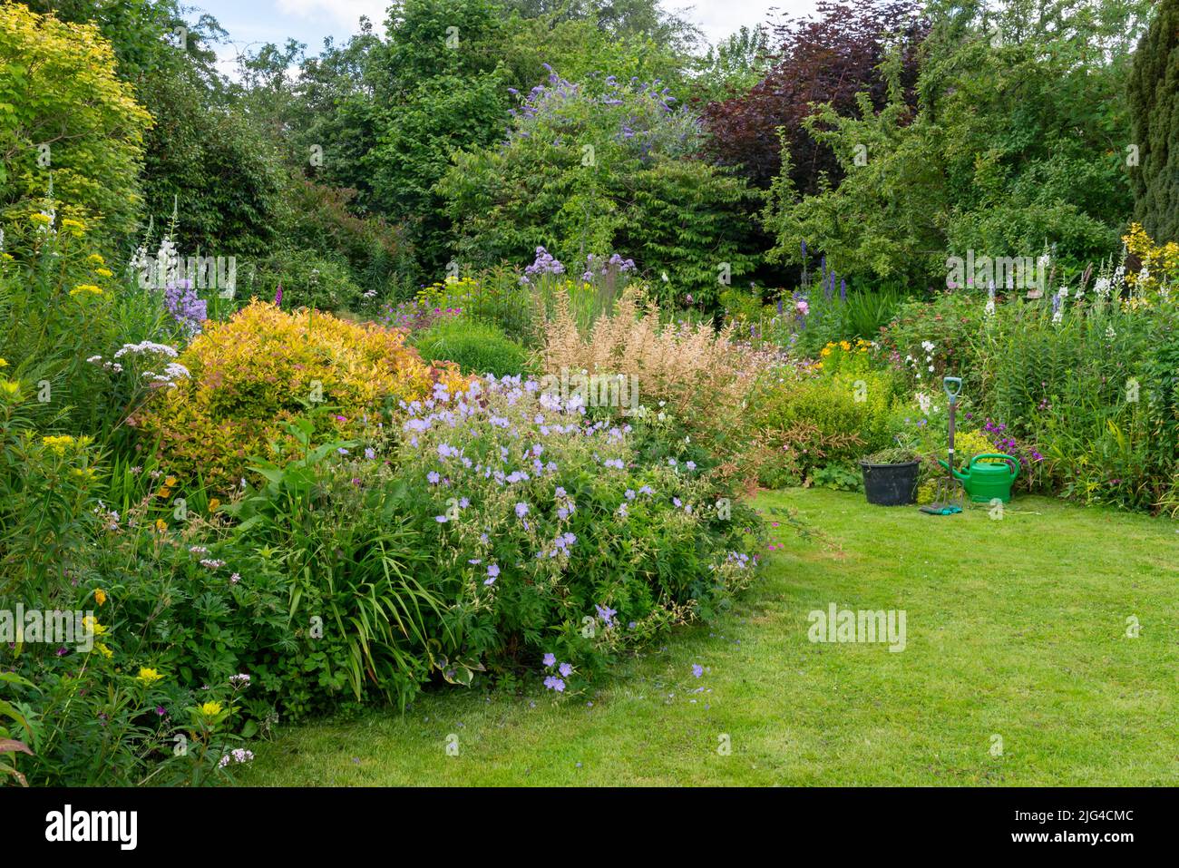 British domestic trees summer garden hi-res stock photography and ...