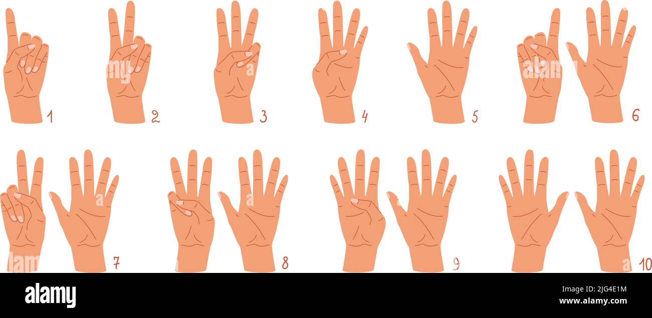 Cartoon hands count gesture, human wrist finger numbers. Vector illustration set Stock Vector ...
