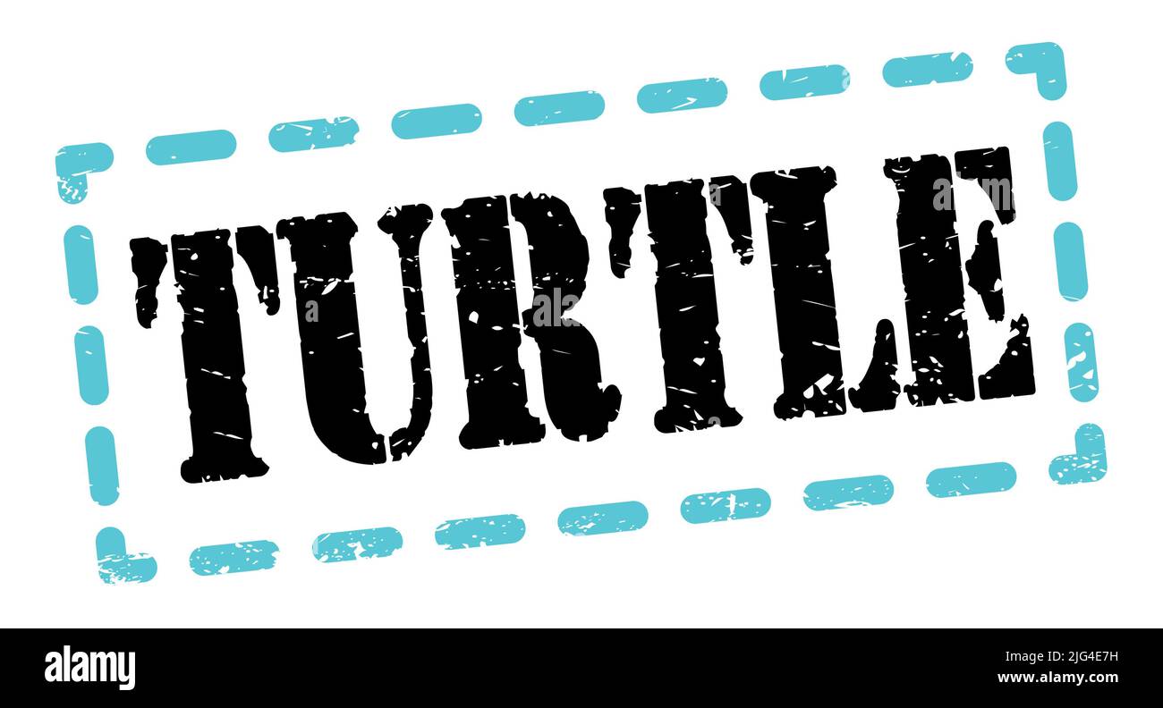 TURTLE text written on blue-black dash stamp sign Stock Photo - Alamy