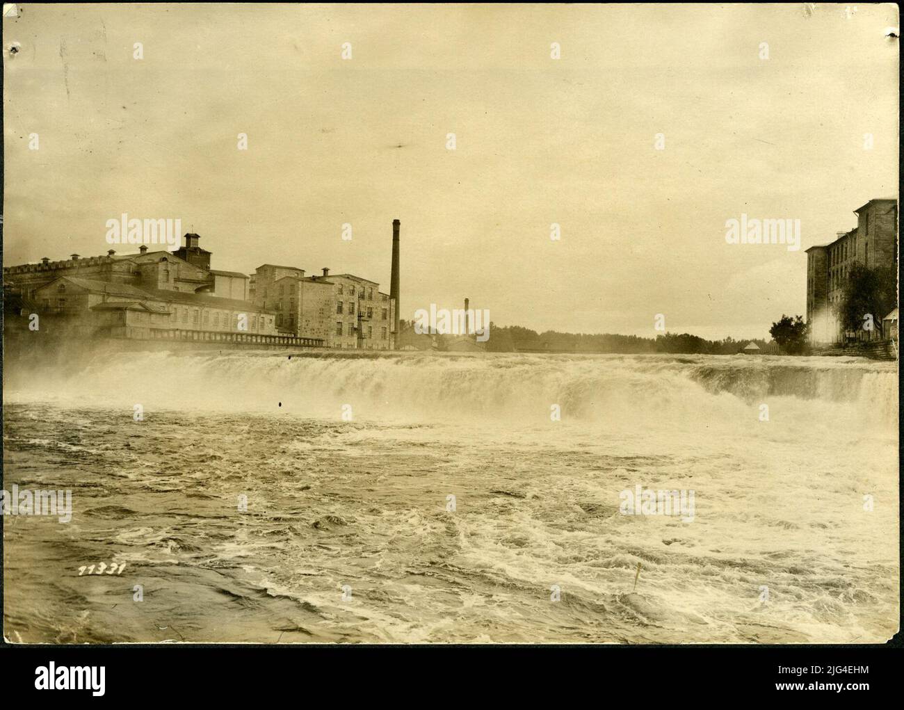 Narwa hi-res stock photography and images - Alamy