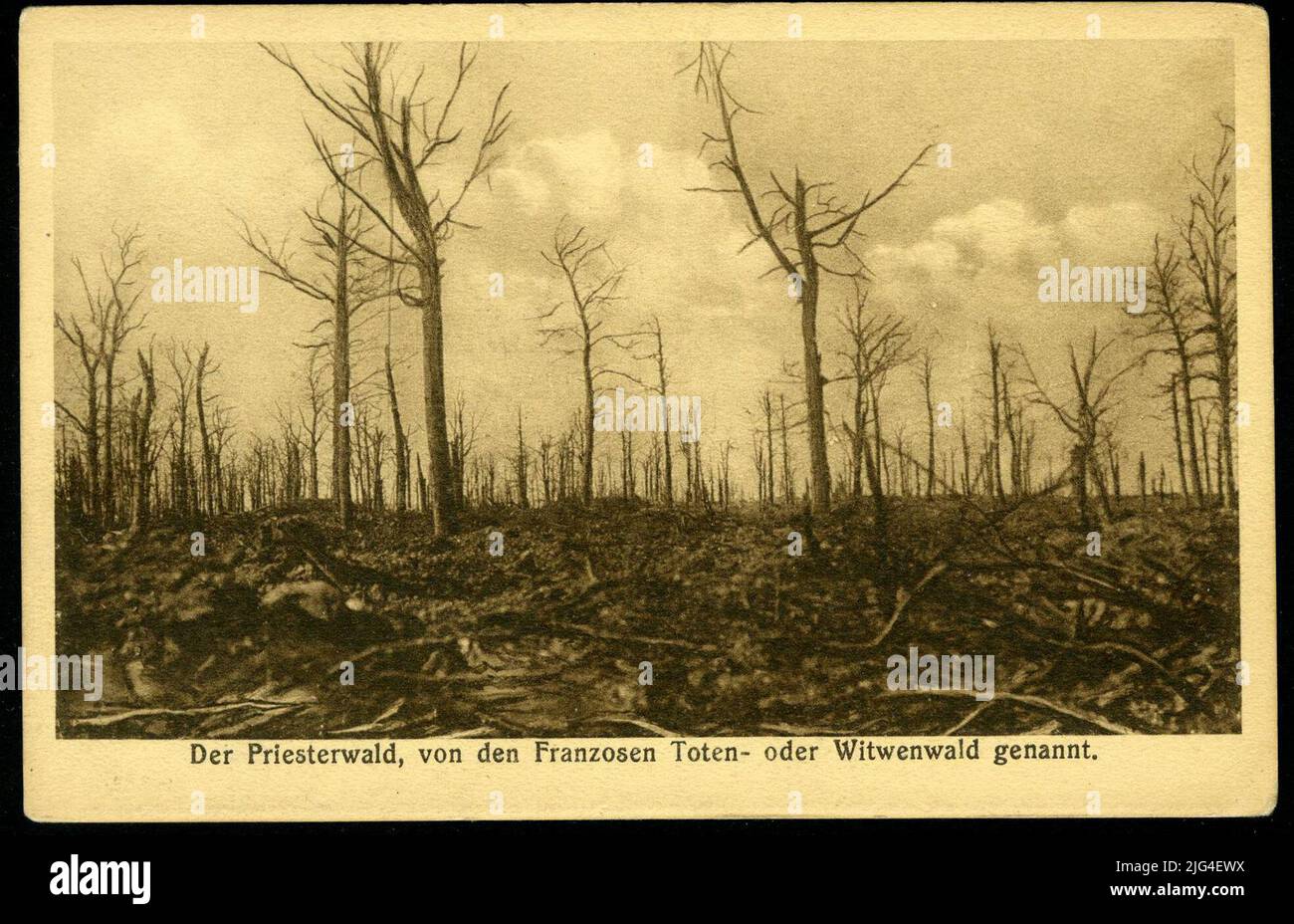 German destruction hi-res stock photography and images - Alamy