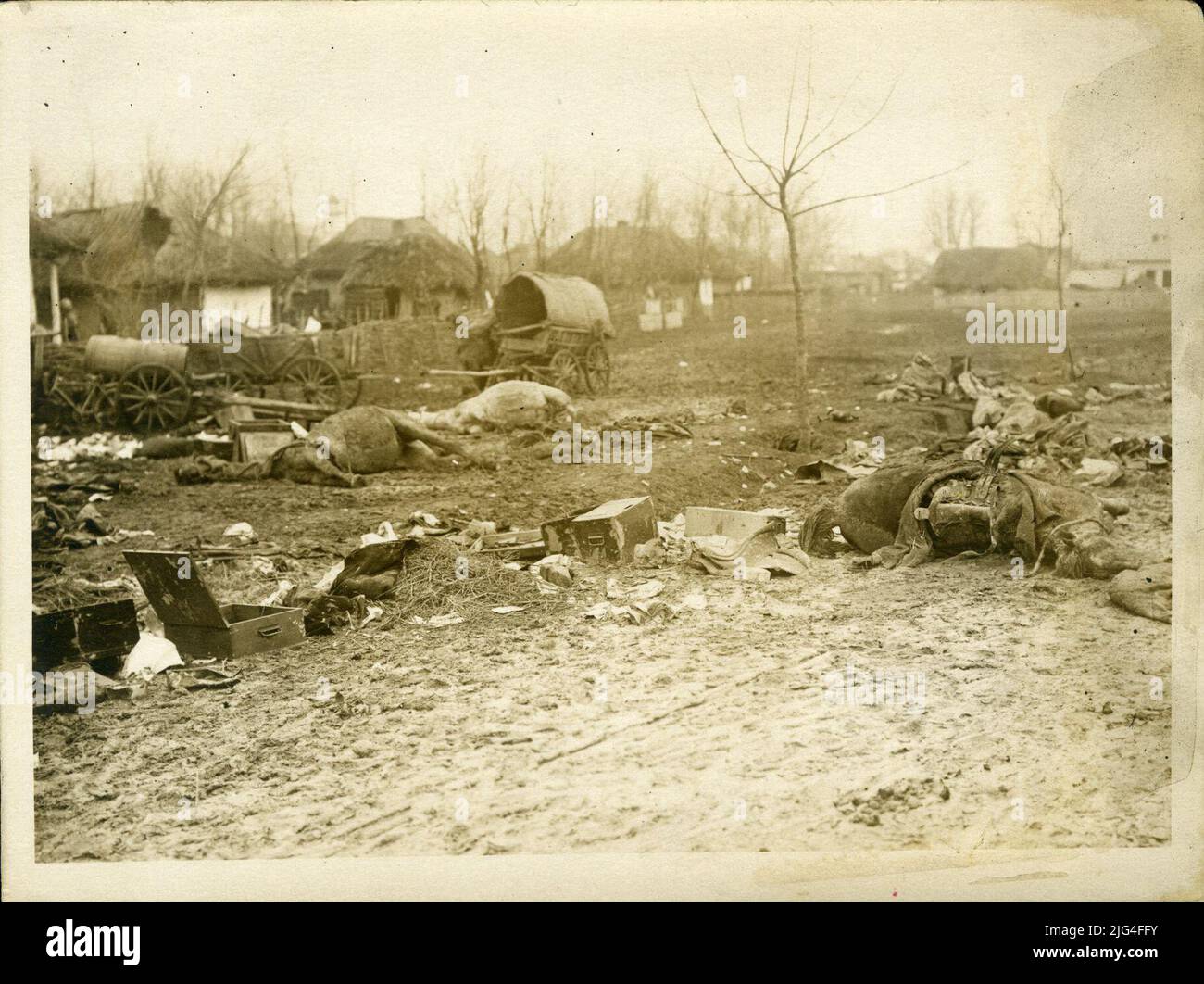 Fighting field in a suburb of Bucharest Stock Photo - Alamy