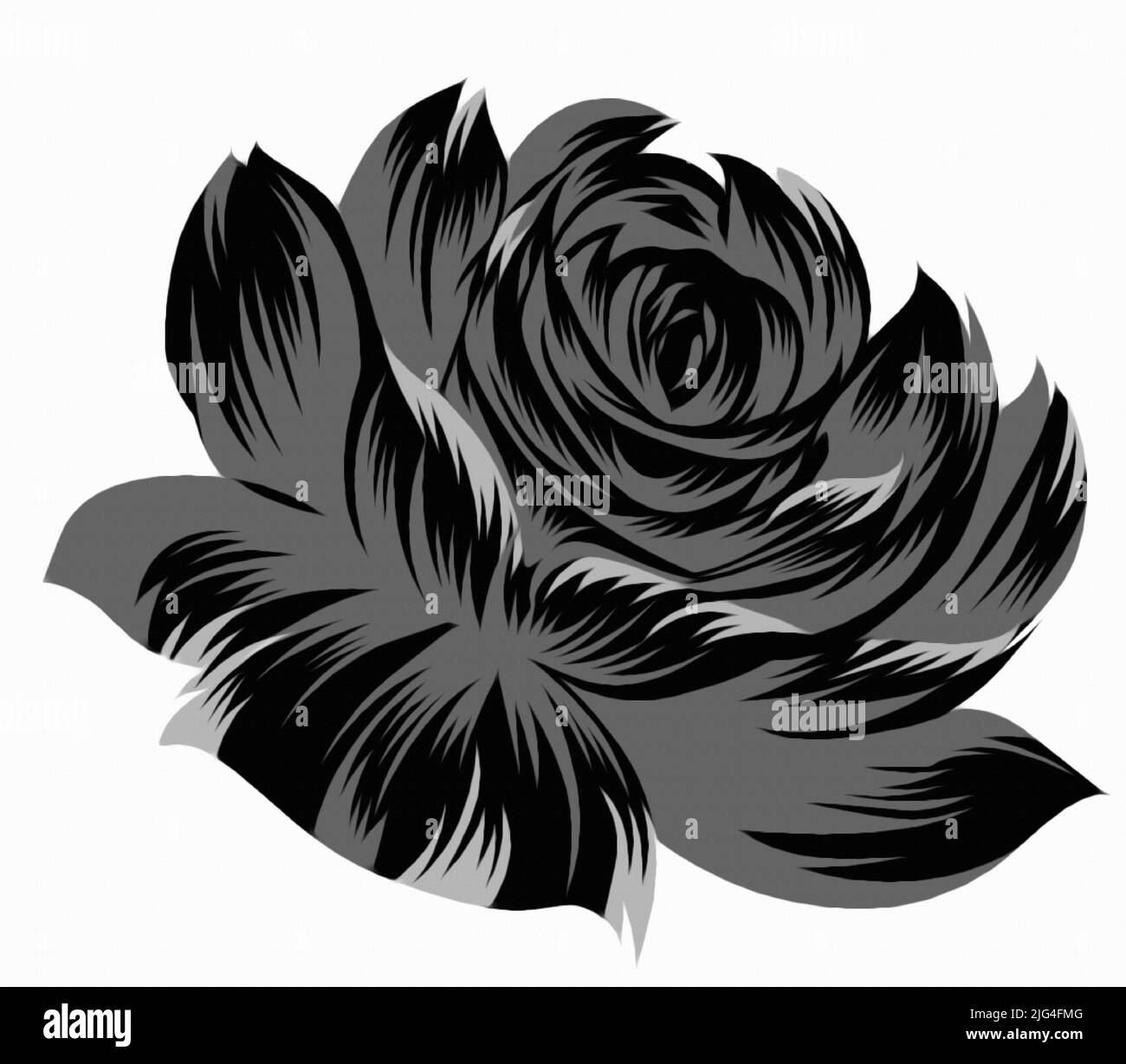 Seamless texture rose flower Black and White Stock Photos & Images - Alamy