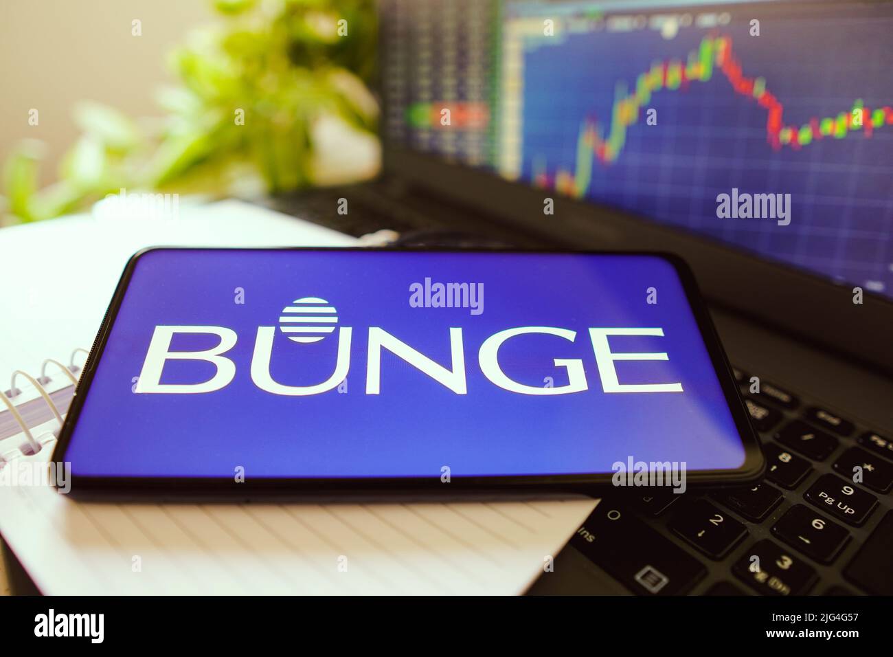 In this photo illustration, the Bunge Limited logo is seen displayed on ...