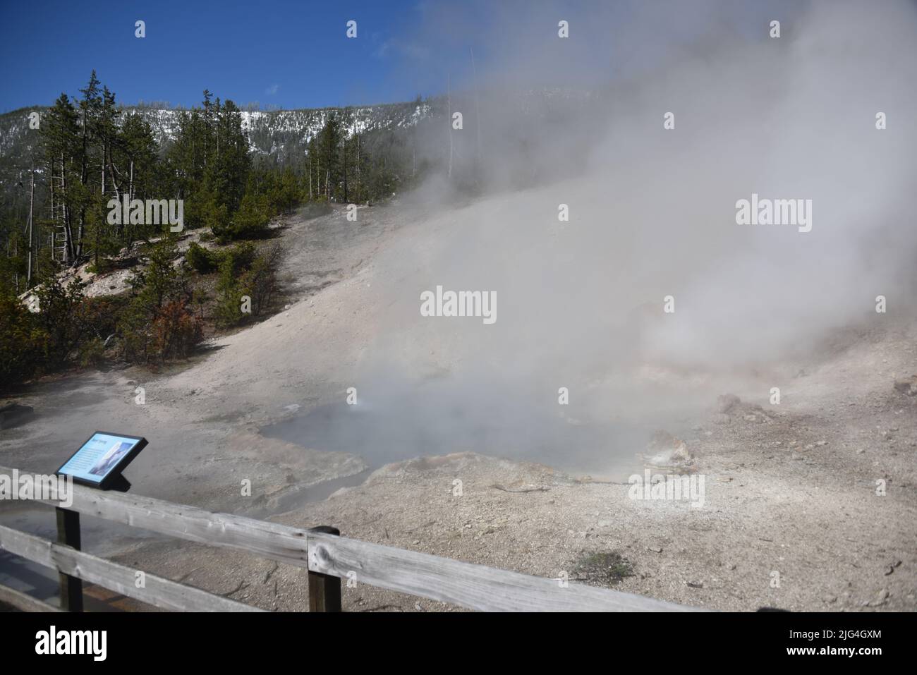 Yellowstone National Park, USA. 5/21-24/2022. Beryl spring is a ...