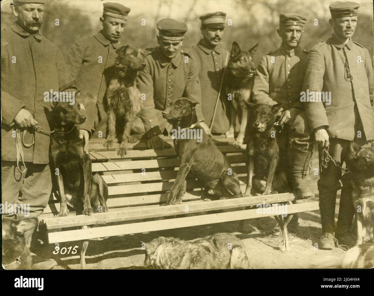 German wounded exercise hi-res stock photography and images - Alamy