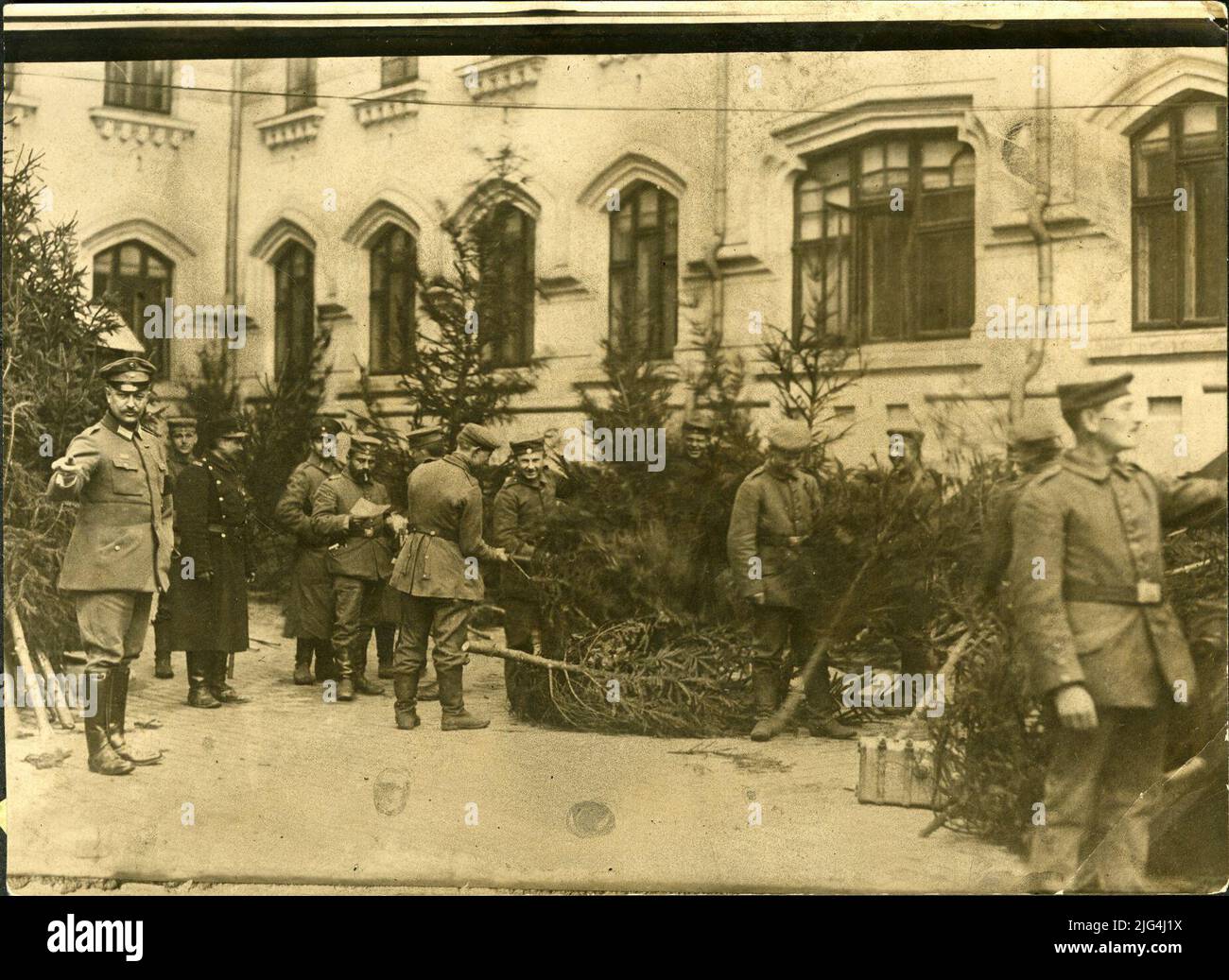 Christmas in Bucharest: Distribution of Christmas trees to the ...