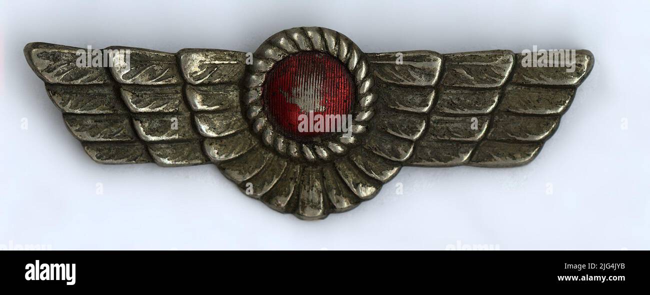 Aviation emblem. Metal badge with the emblem of the Air Force used by ...