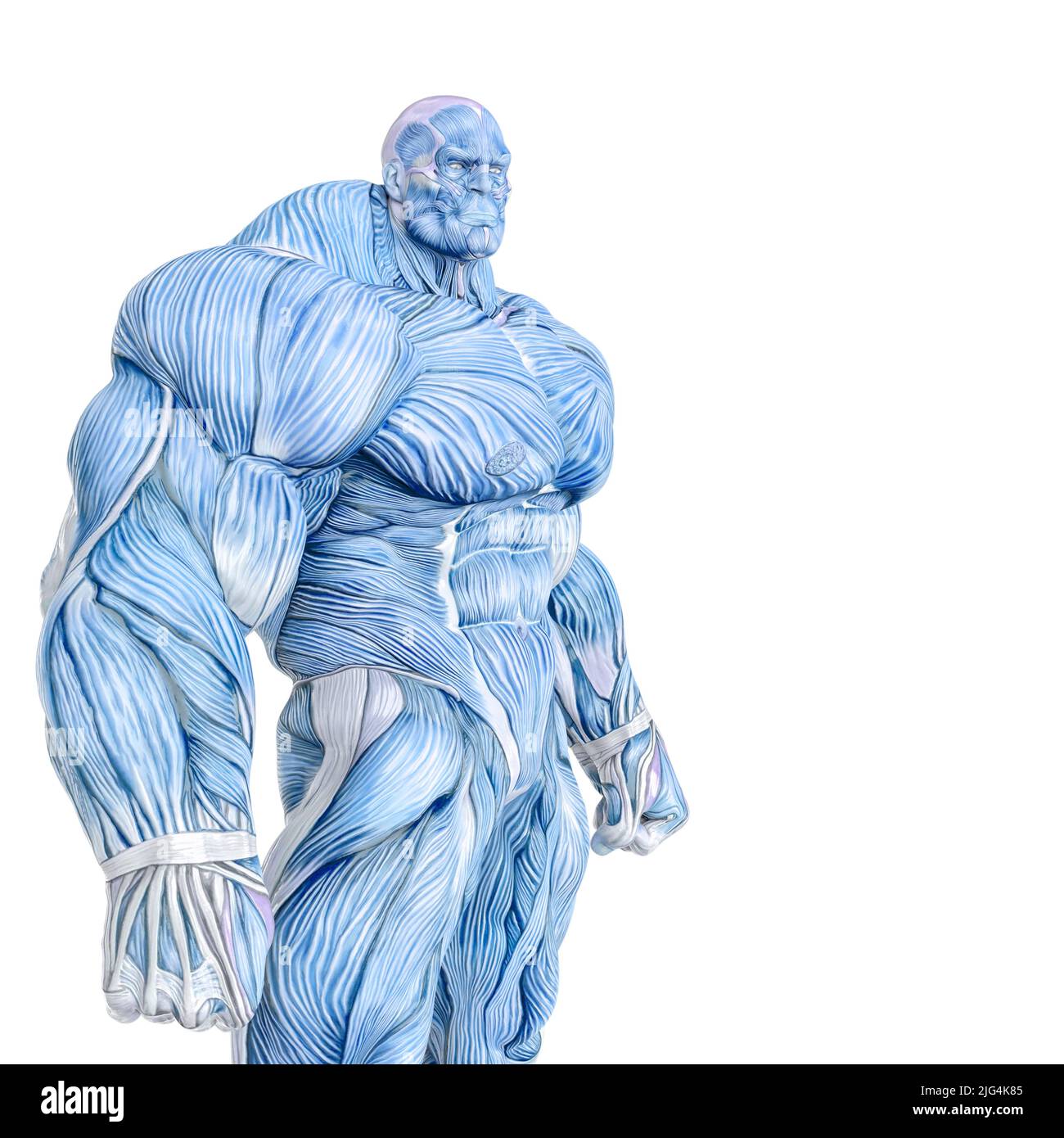 muscle maps of a strong man close up side view. This guy in clipping ...