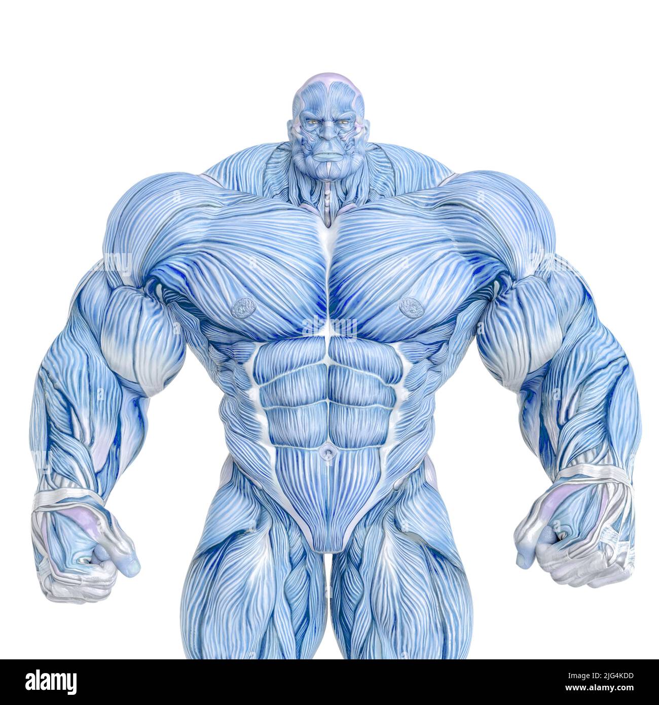 muscle maps of a strong man close up. This guy in clipping path is very ...