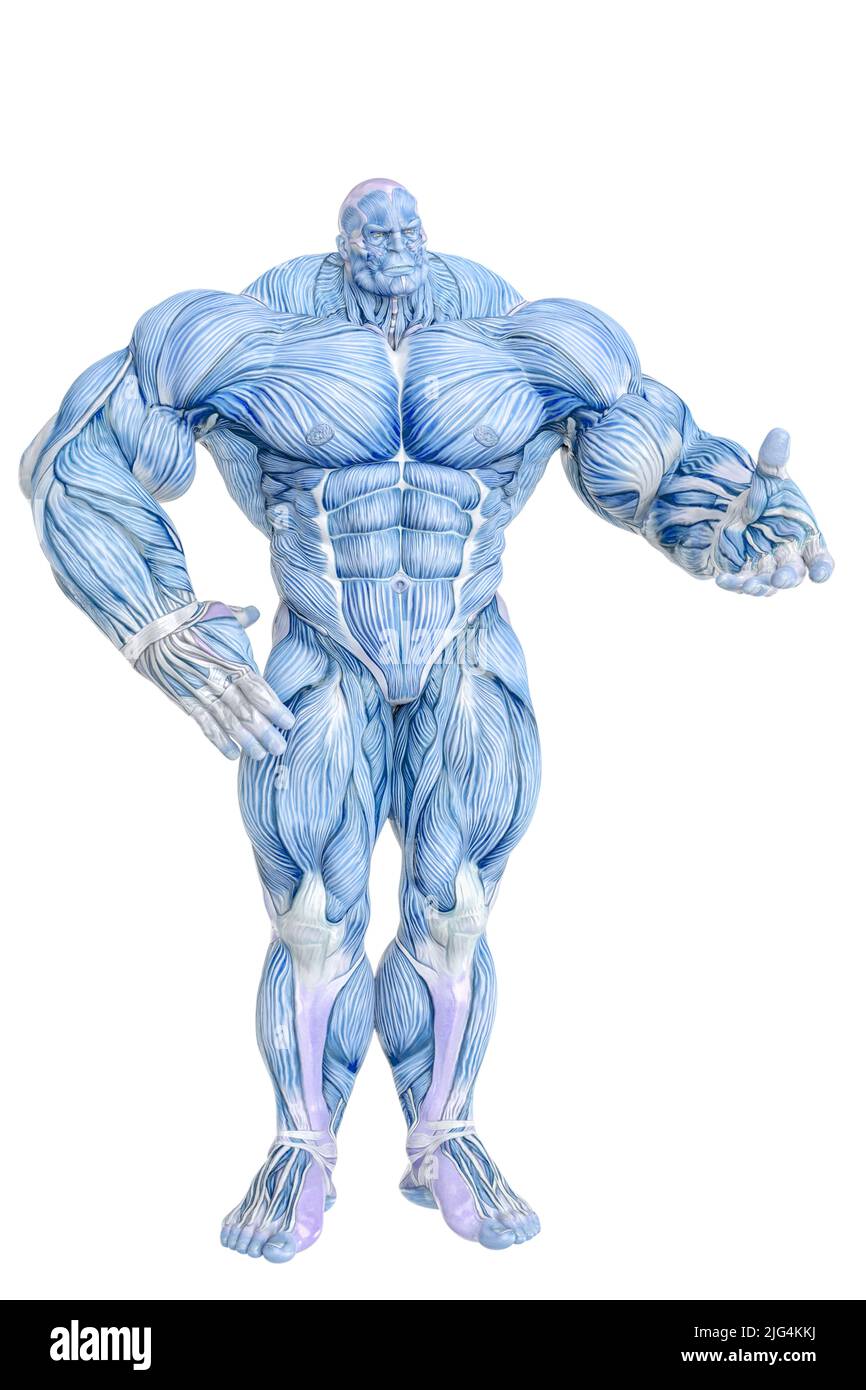 muscle maps of a strong man demonstrating. This guy in clipping path is ...