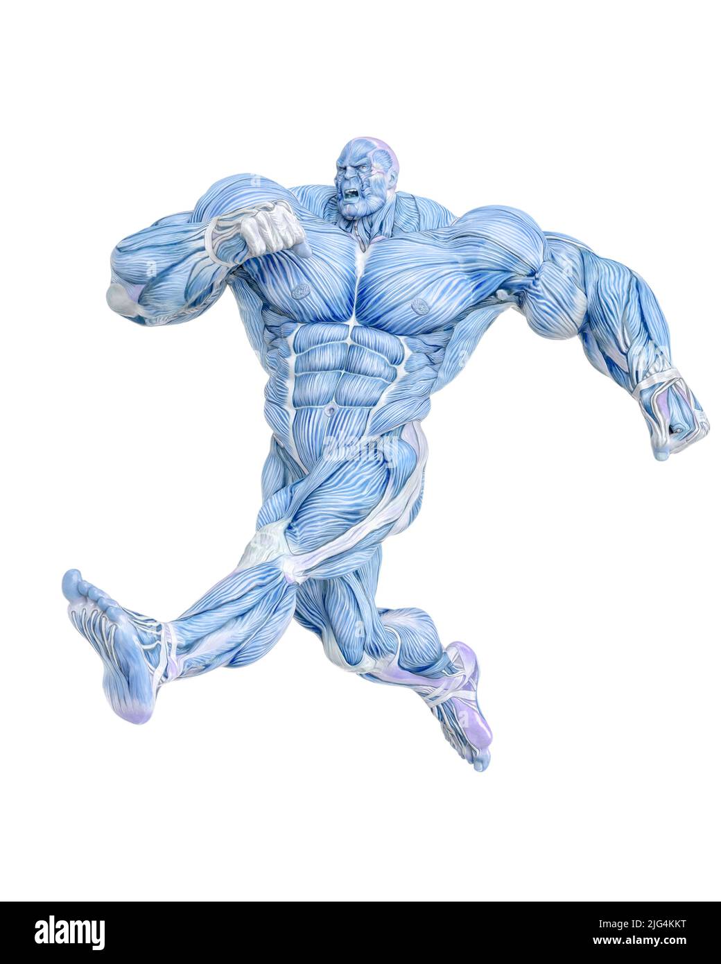 muscle maps of a strong man doing a fast jump. This guy in clipping ...