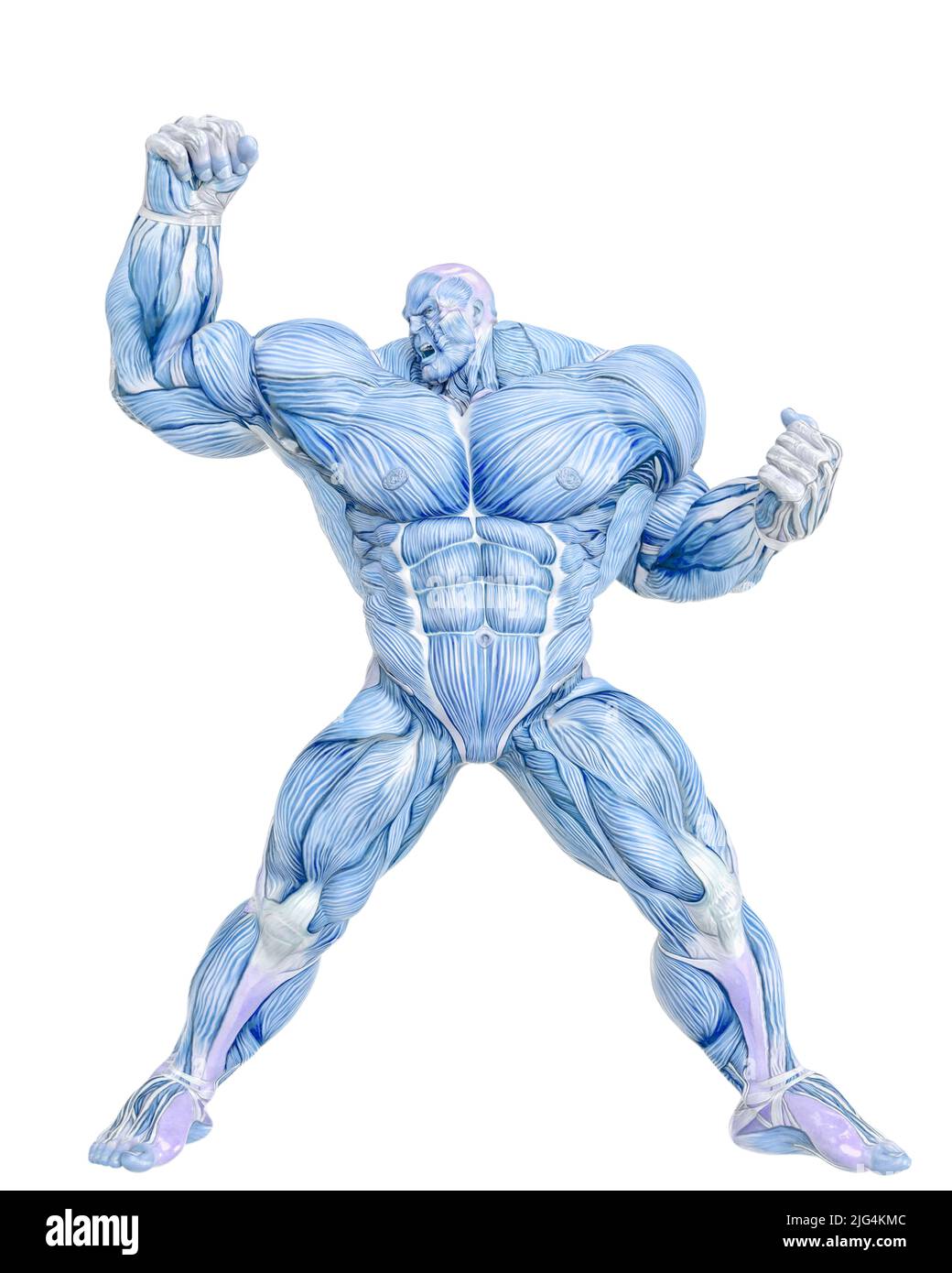 muscle maps of a strong man doing a super power pose. This guy in ...
