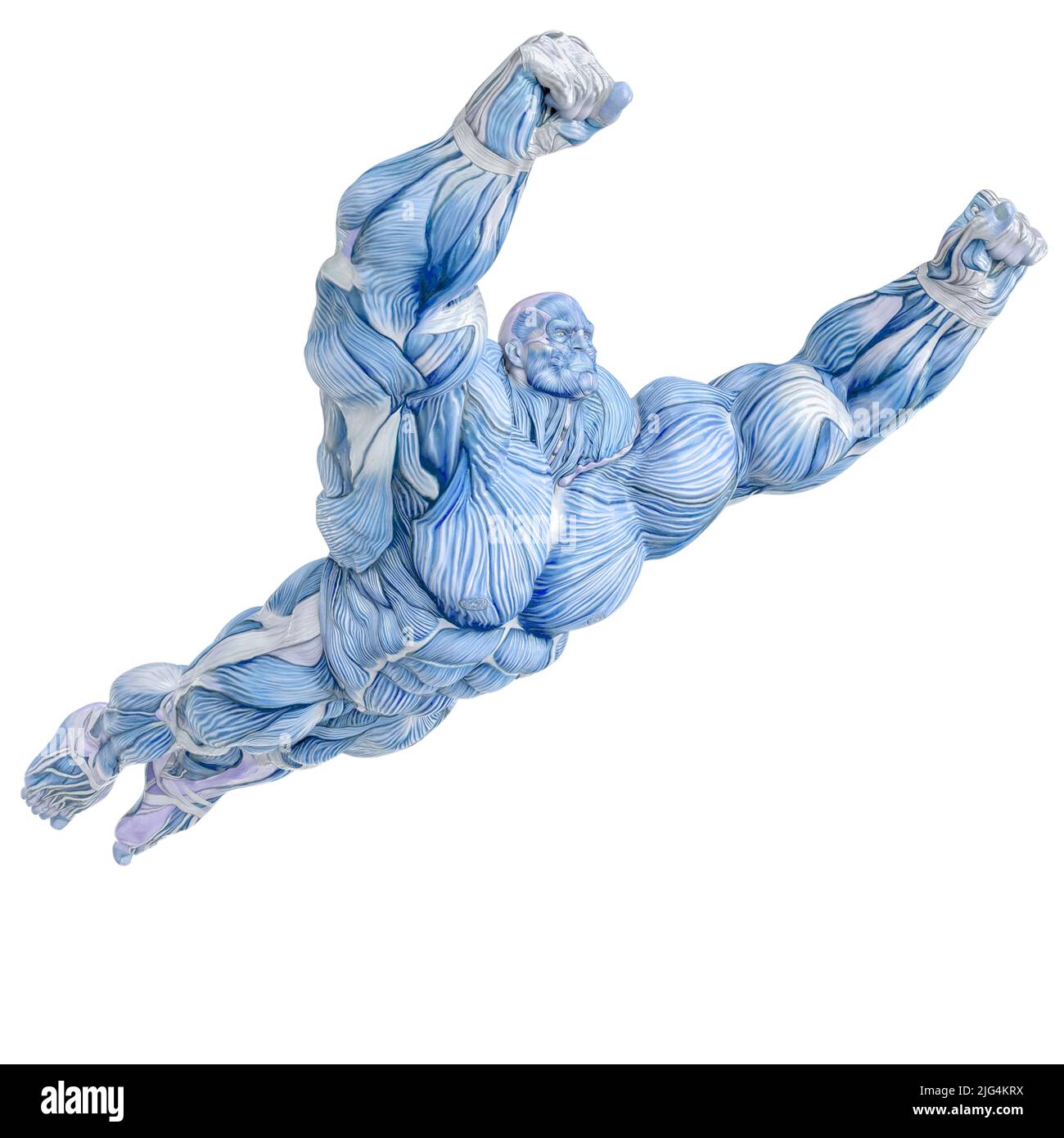 muscle maps of a strong man flying. This guy in clipping path is very ...