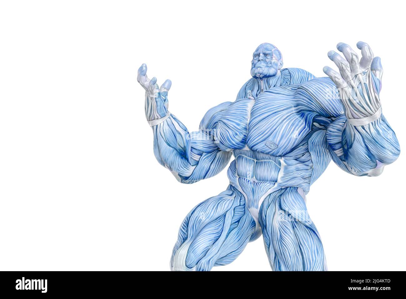 muscle maps of a strong man holping. This guy in clipping path is very ...