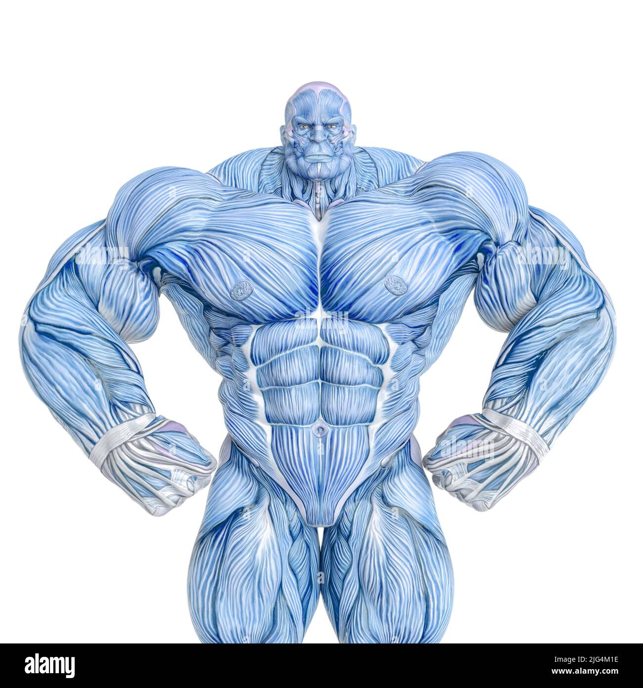 muscle maps of a strong manmuscle maps of a strong man is angryis very ...