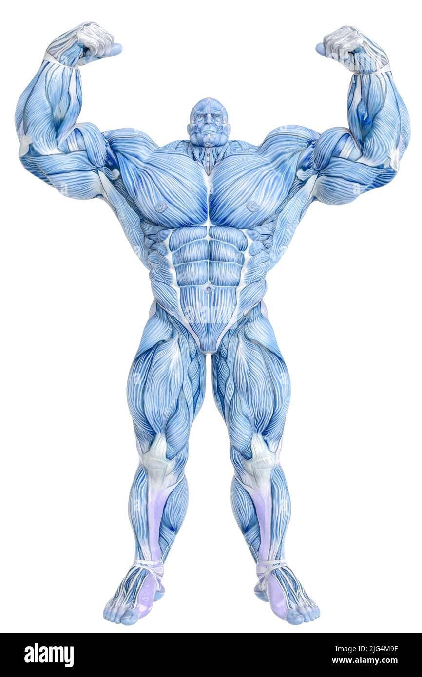 muscle maps of a strong man posing. This guy in clipping path is very useful for graphic design ...