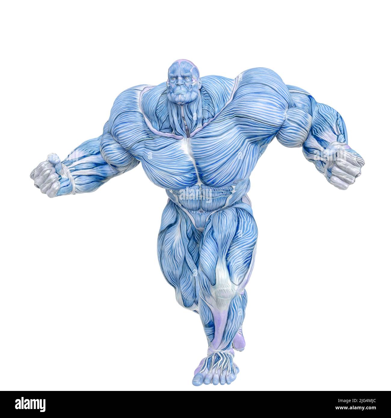muscle maps of a strong man startin the action. This guy in clipping ...
