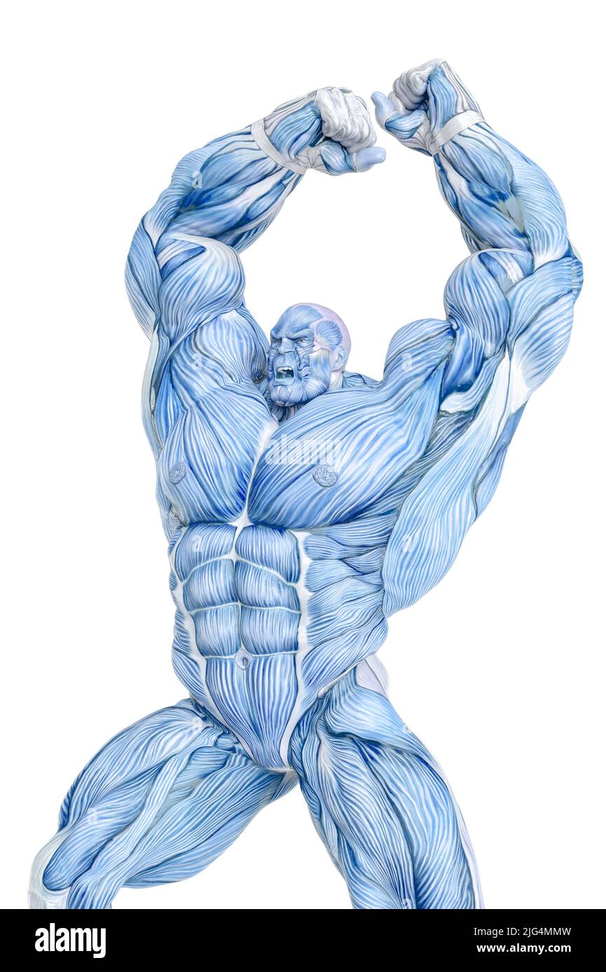 muscle maps of a strong man. This guy in clipping path is very useful ...