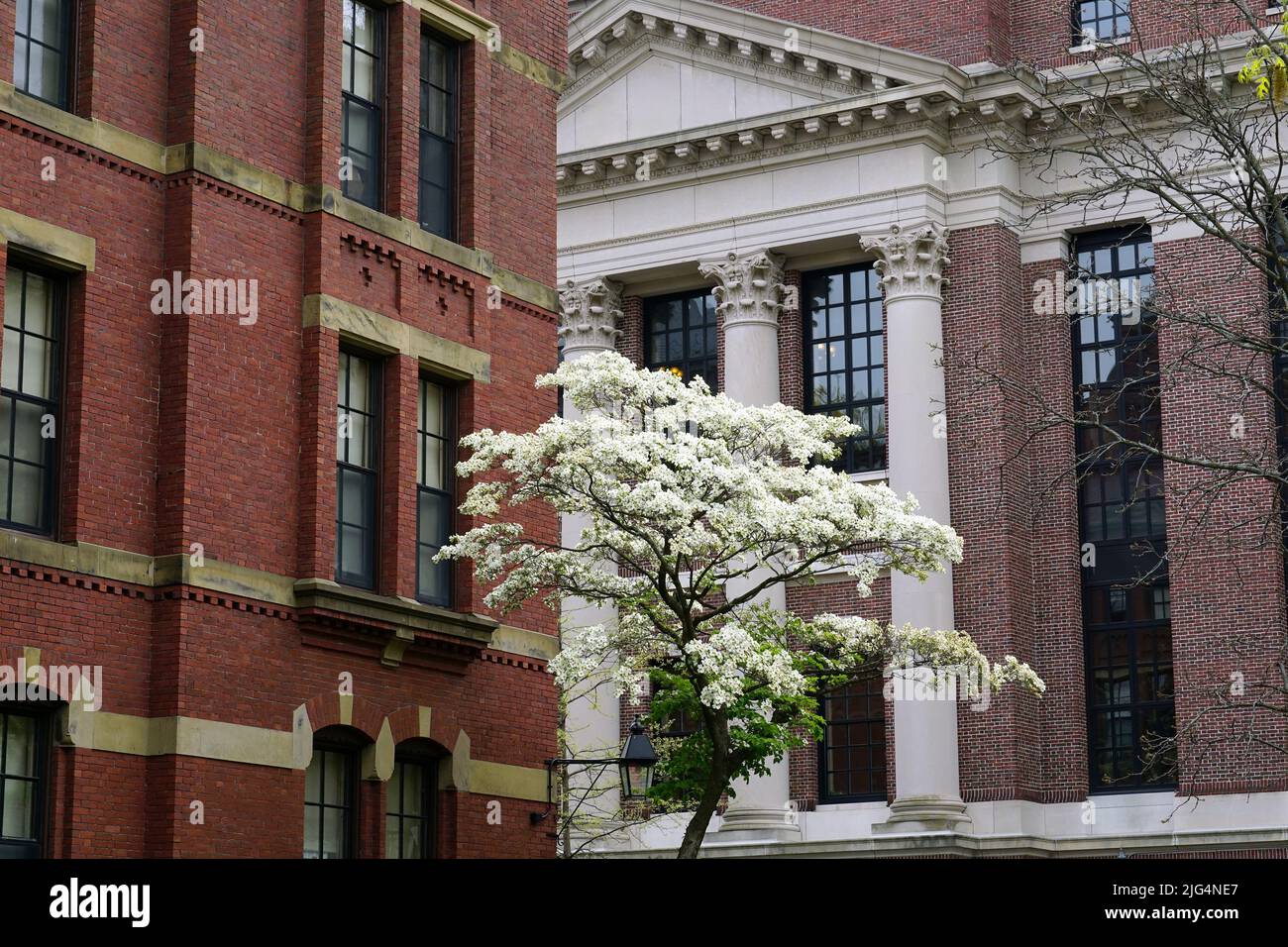 Harvard University, Cambridge, Middlesex County, Massachusetts, USA ...